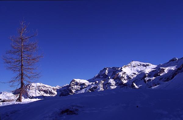 Iffighore (az) (2378m) (2378m): Aktuelle Verhältnisse vom 16.01.2005 ...