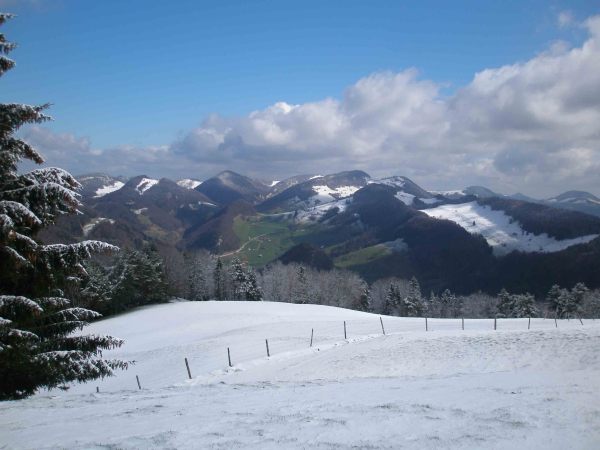 Hohe Winde (uh) (1204m) (1204m): Aktuelle Verhältnisse vom 10.03.2007 ...