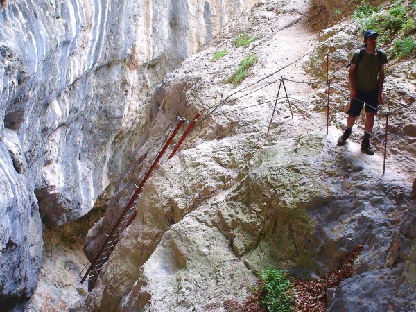 Via Ferrata Burrone di Mezzocorona (891m) (891m): Aktuelle Verhältnisse ...