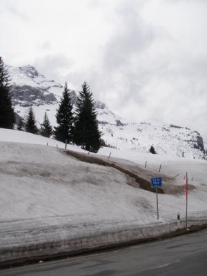 Col du Pillon (1546m) (1546m): Aktuelle Verhältnisse vom 19.04.2009 für ...