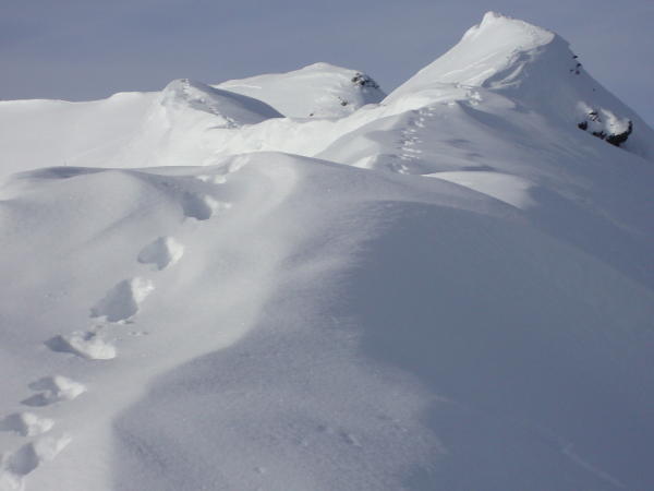 Crap Grisch Ostgipfel (2750m) (2750m): Aktuelle Verhältnisse vom 15.01. ...
