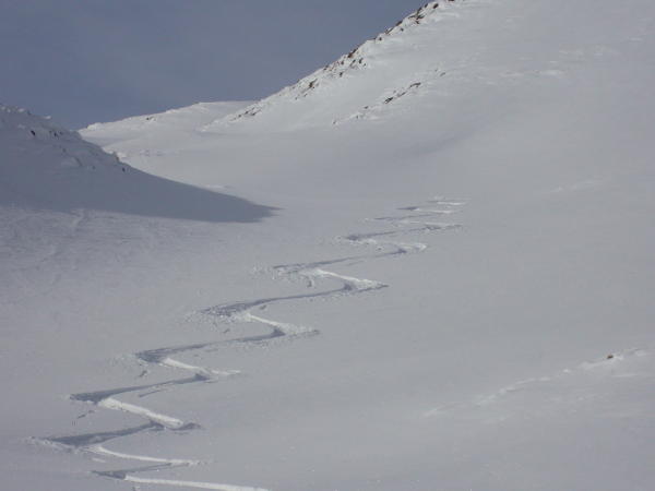 Crap Grisch Ostgipfel (2750m) (2750m): Aktuelle Verhältnisse vom 15.01. ...