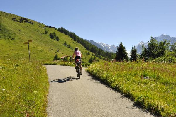 Lötschentaler Höhenweg und Anenhütte: Aktuelle Verhältnisse vom 26.06. ...
