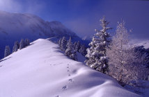 Iffighore (az) (2378m) (2378m): Aktuelle Verhältnisse vom 04.01.2006 ...