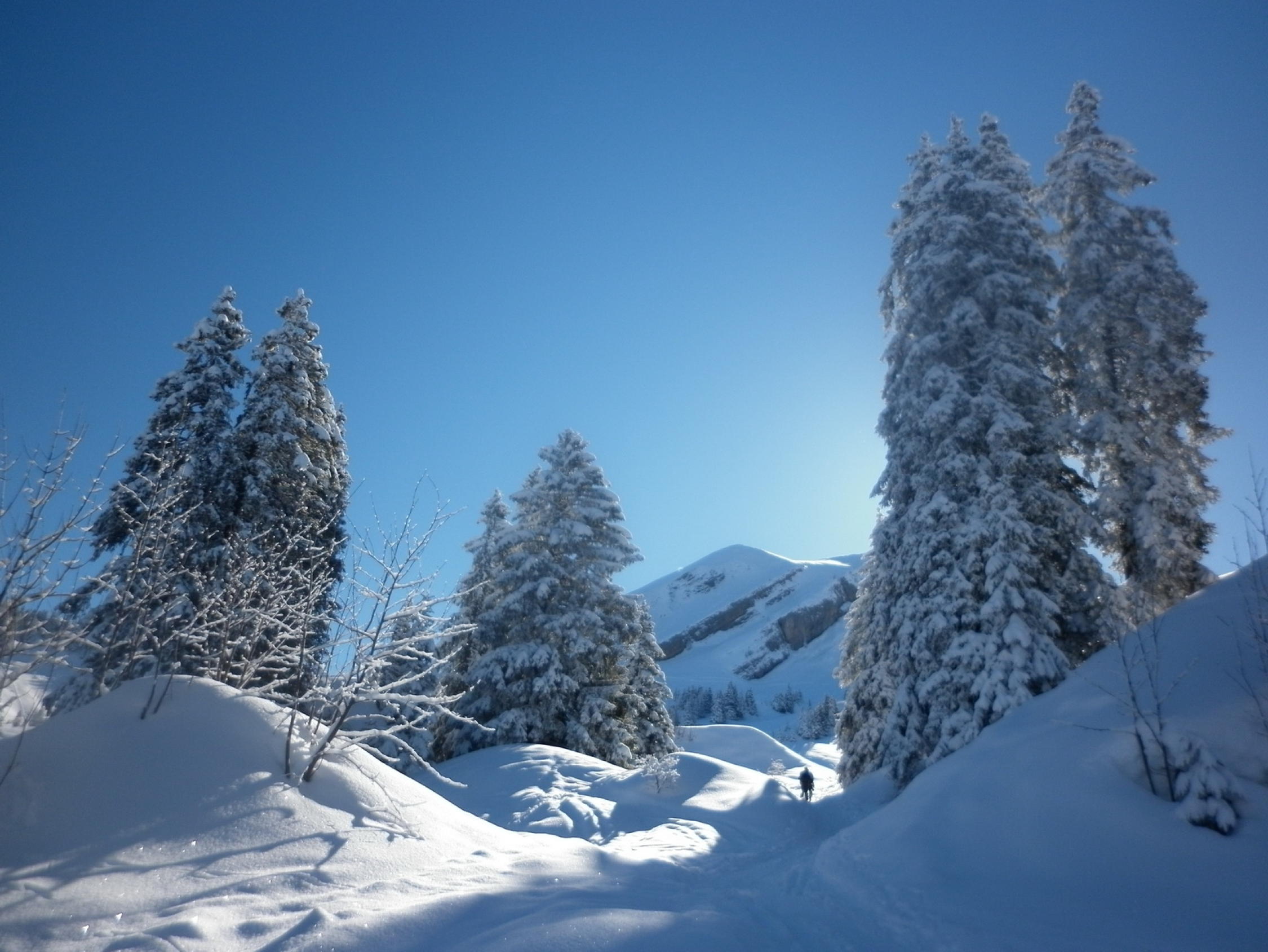 Glattegrat (2191m) (2191m): Aktuelle Verhältnisse vom 01.04.2013 auf ...