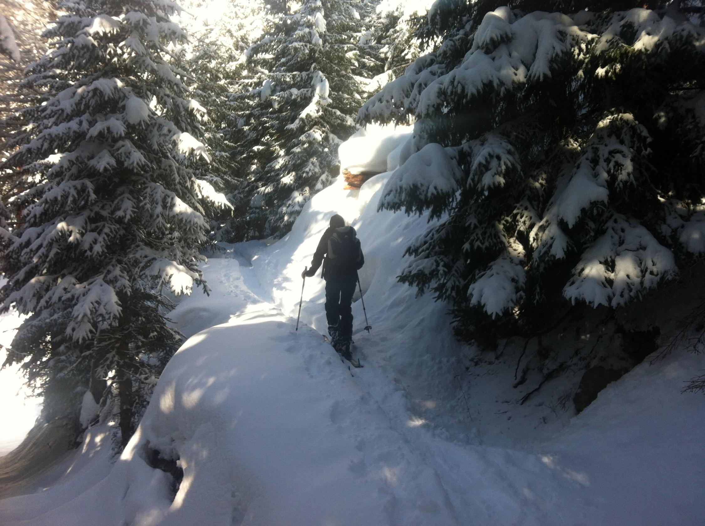 Wiler - Spalihorn - Kreuz - Fleeschgruebe - Blatten (2400m) (2400m ...