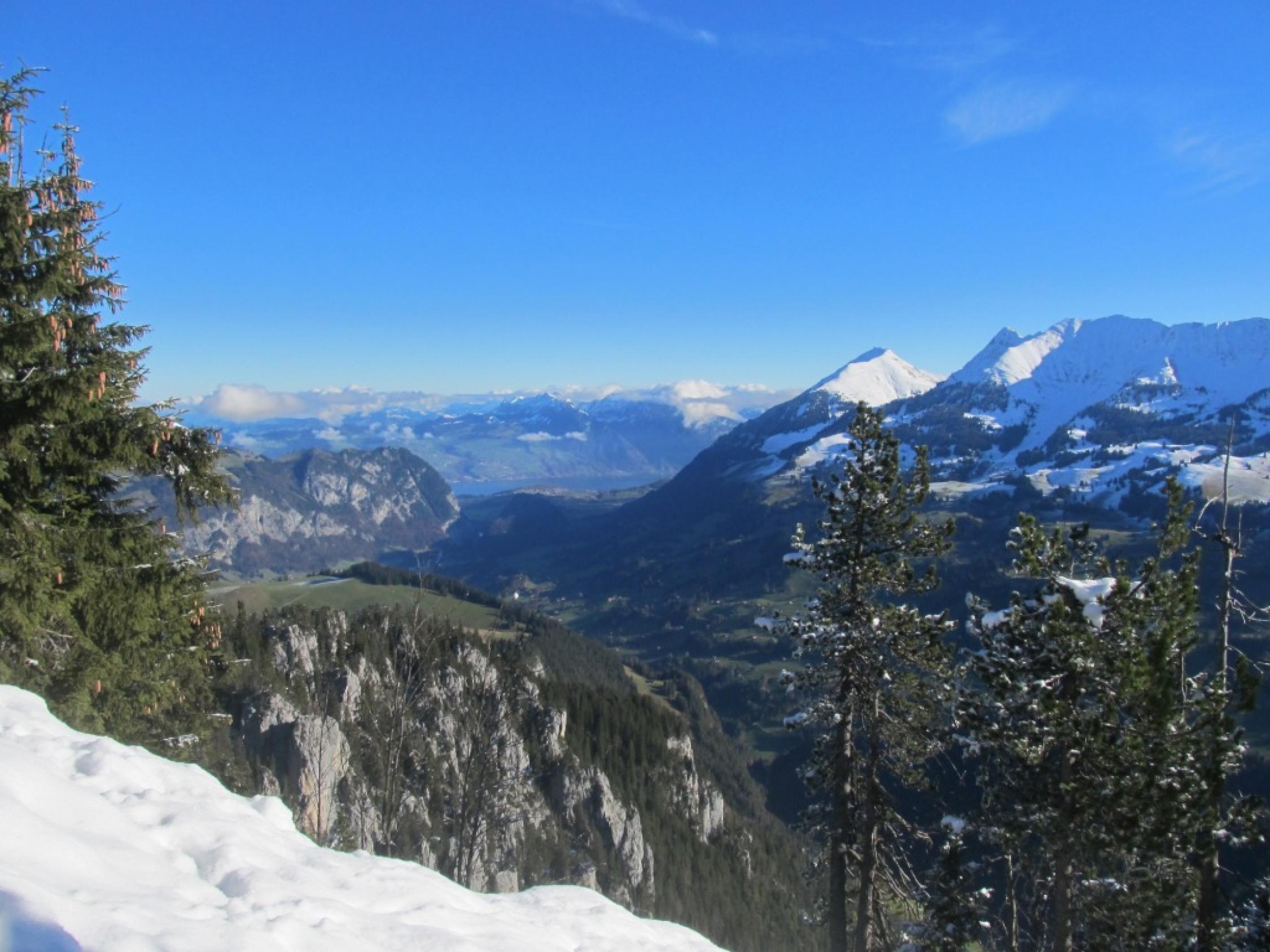 Pfaffe (1943m) (1943m): Aktuelle Verhältnisse vom 19.11.2014 auf der ...