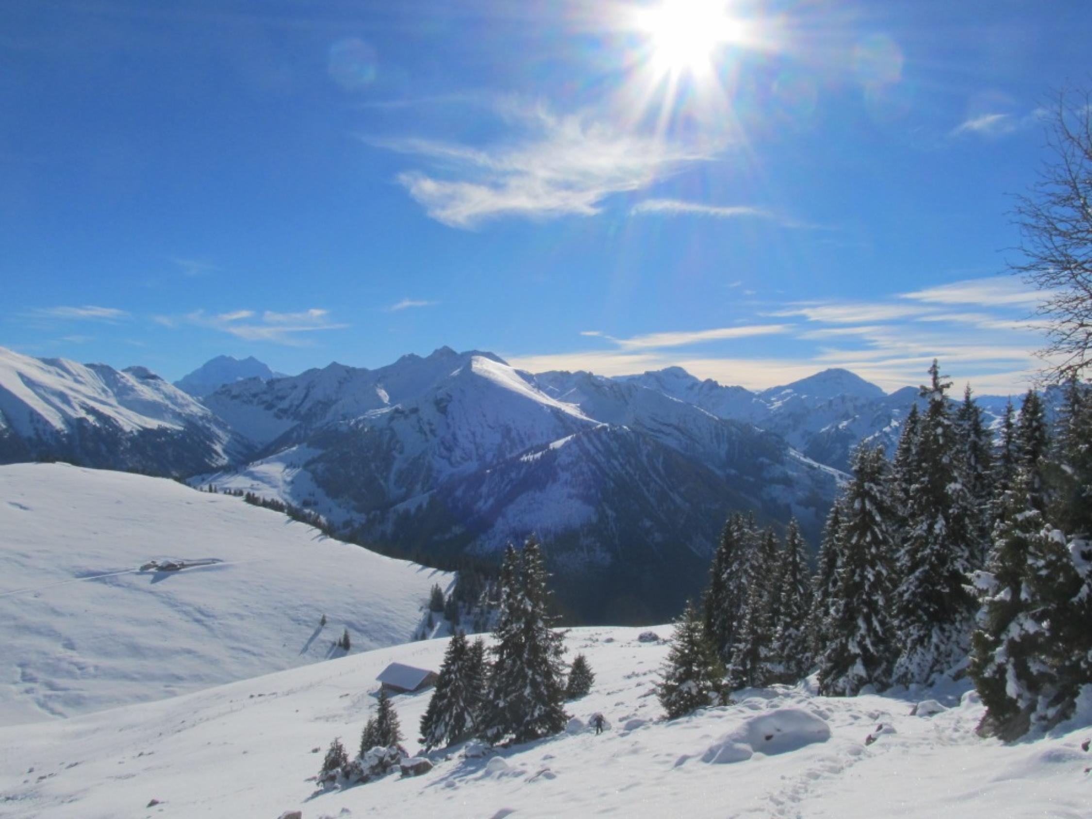 Pfaffe (1943m) (1943m): Aktuelle Verhältnisse vom 19.11.2014 auf der ...