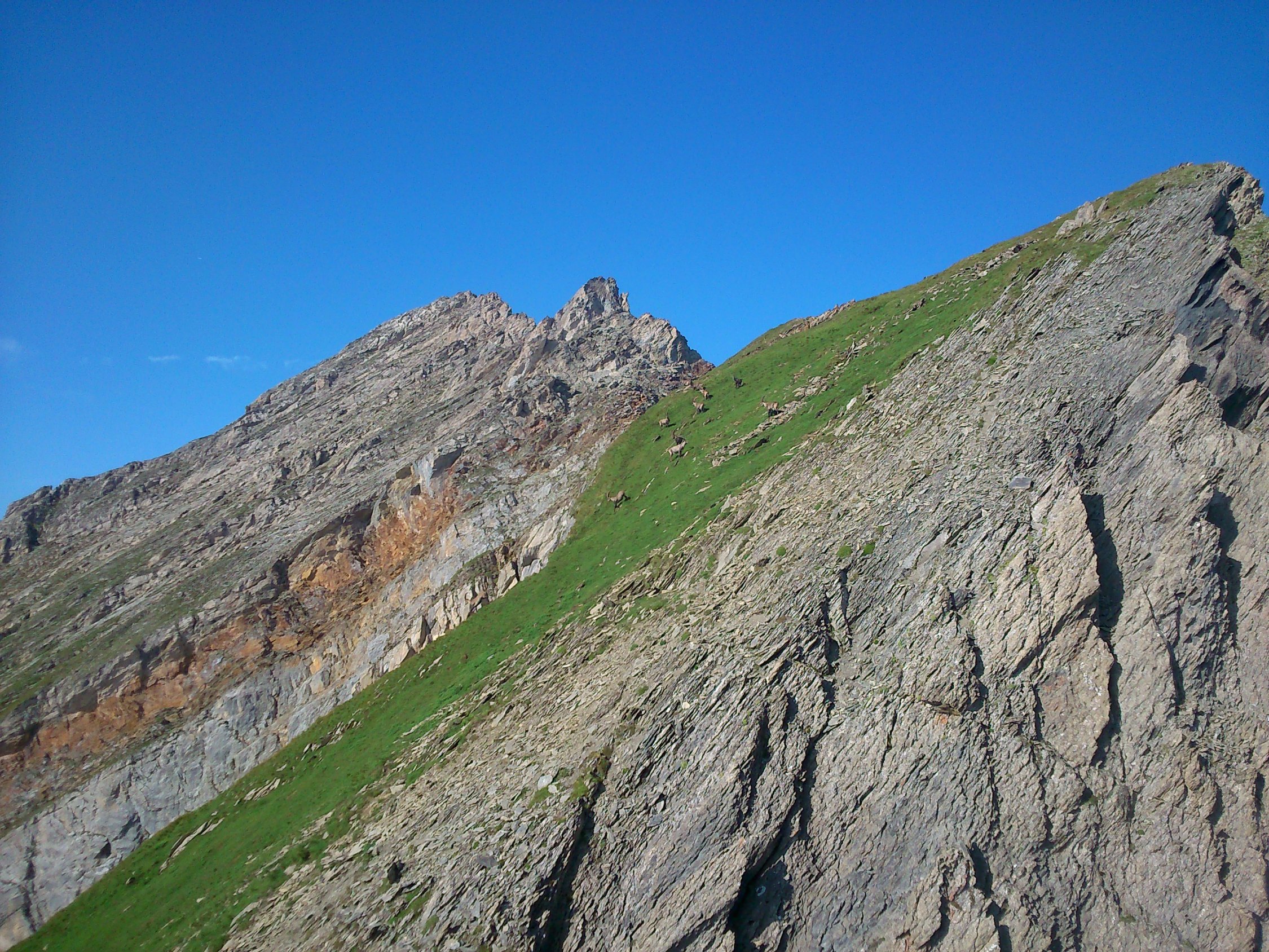 Calanda Runde (2805m) (2805m): Aktuelle Verhältnisse vom 19.07.2015 auf ...