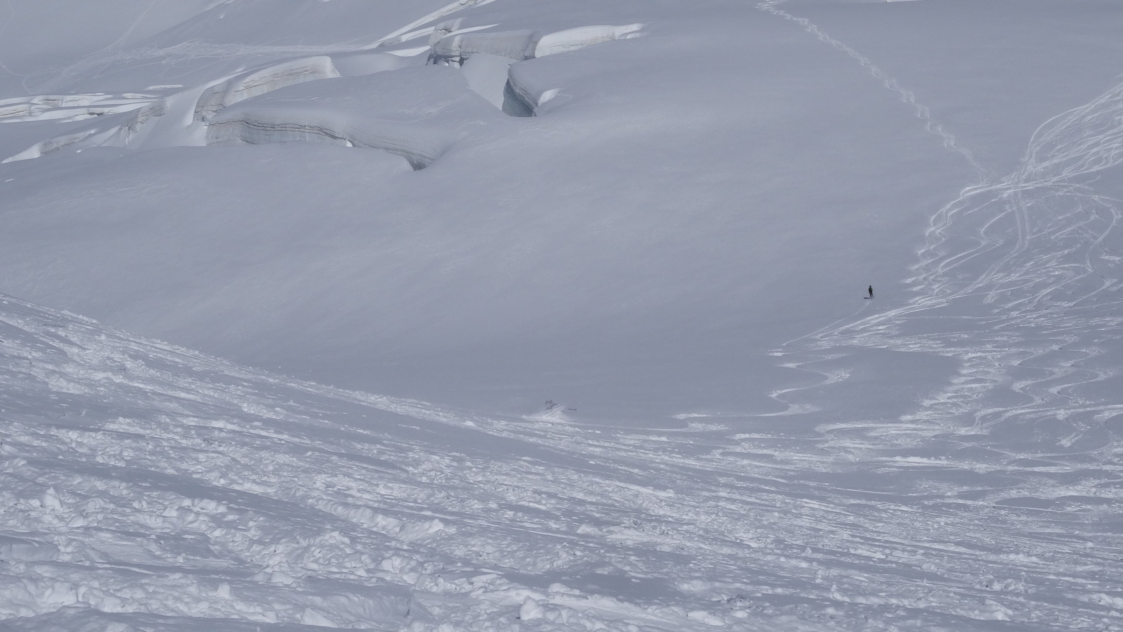 Piz Palü (3899m): Aktuelle Verhältnisse vom 21.04.2016 auf der Route ...
