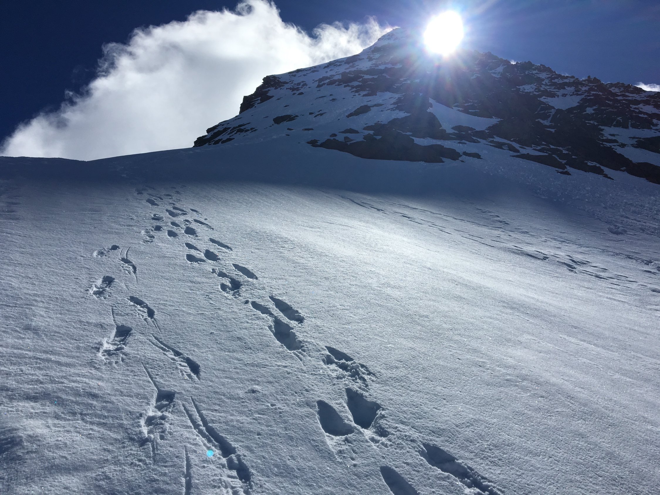 Lagginhorn (4010m) (4010m): Aktuelle Verhältnisse vom 26.06.2016 auf ...