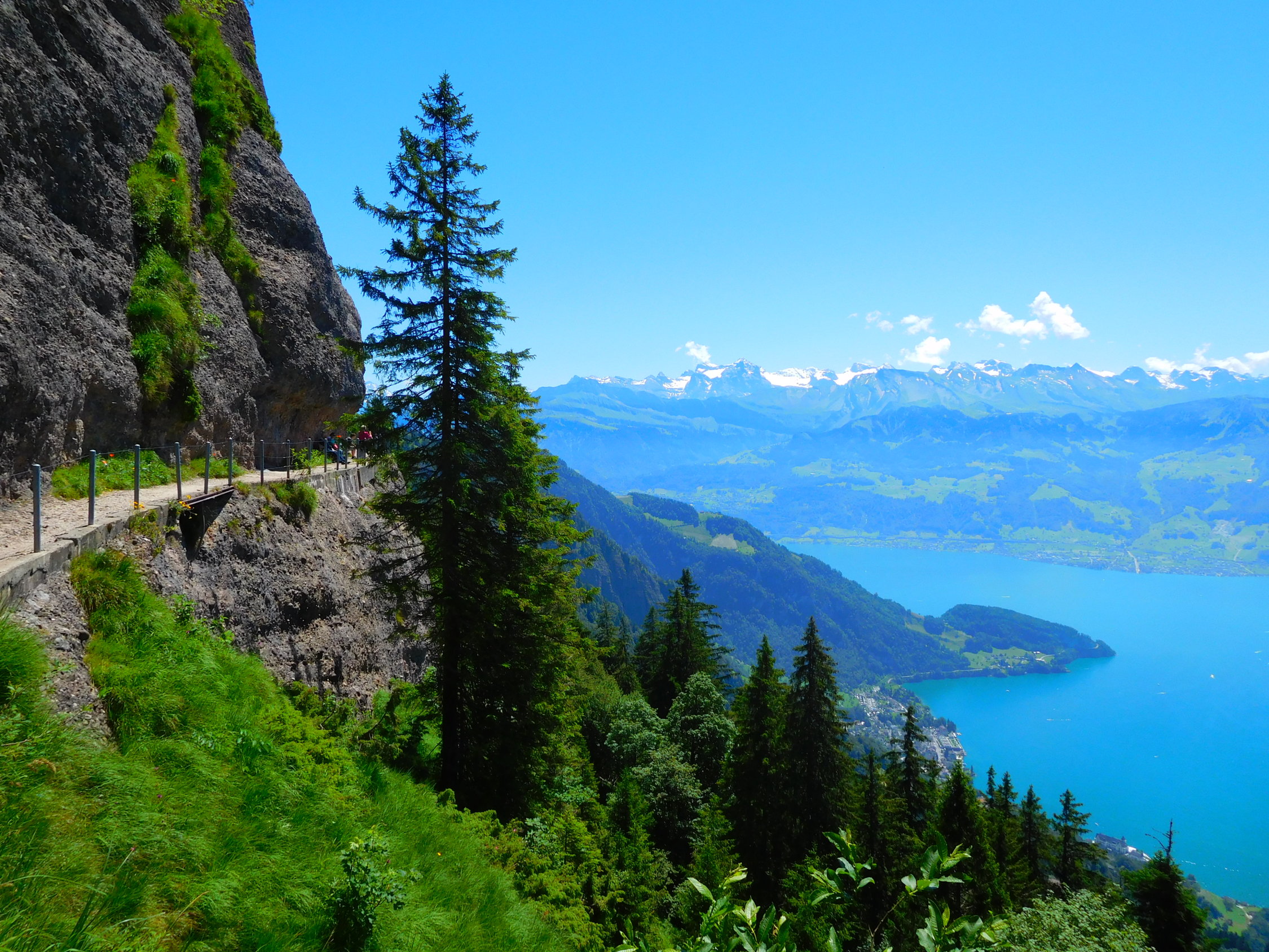 Rigi Dossen (1685m) (1685m): Aktuelle Verhältnisse vom 17.07.2016 auf ...