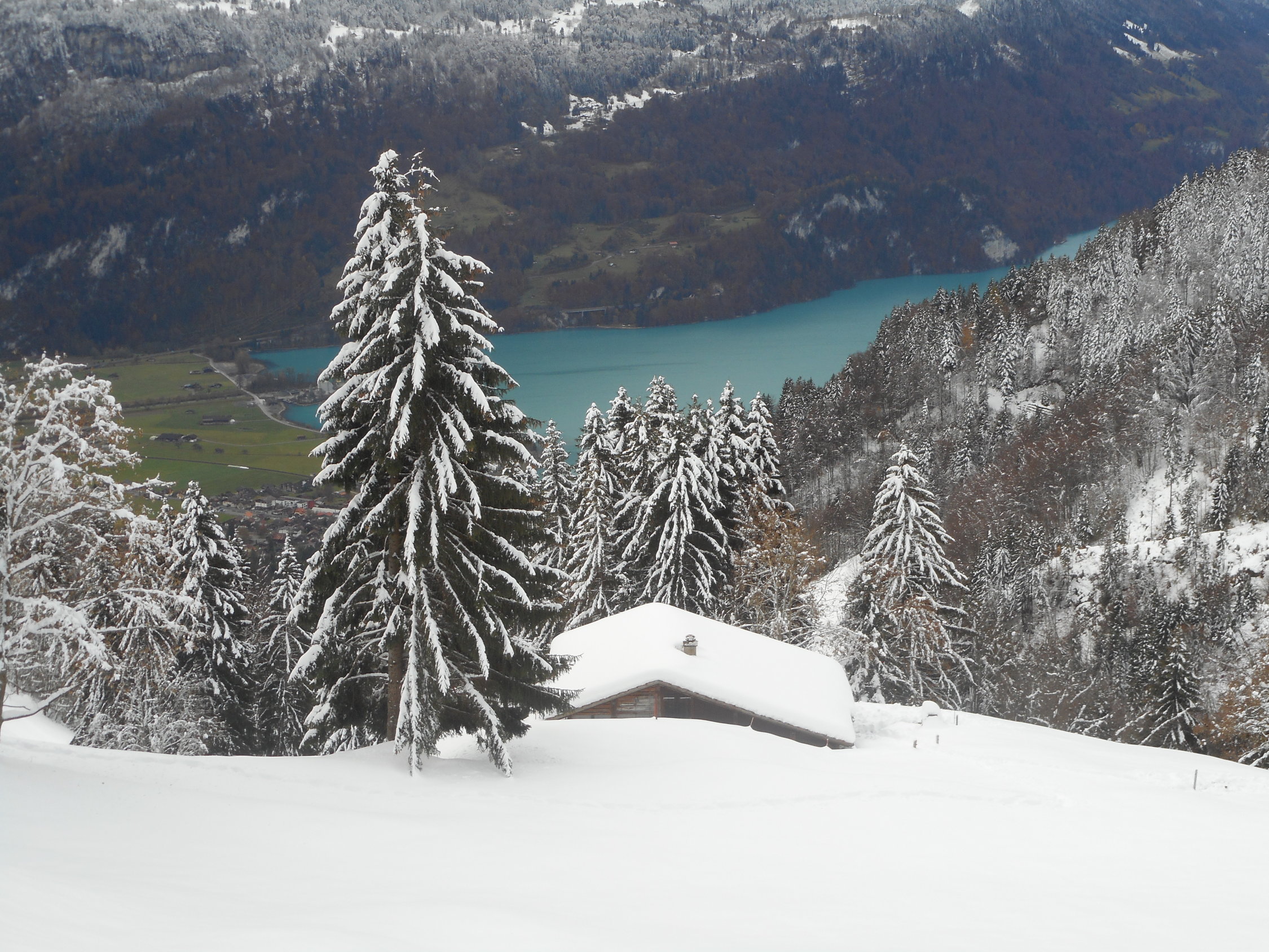 Brienzerrothorn (2348m) (2348m): Aktuelle Verhältnisse vom 13.11.2016 ...