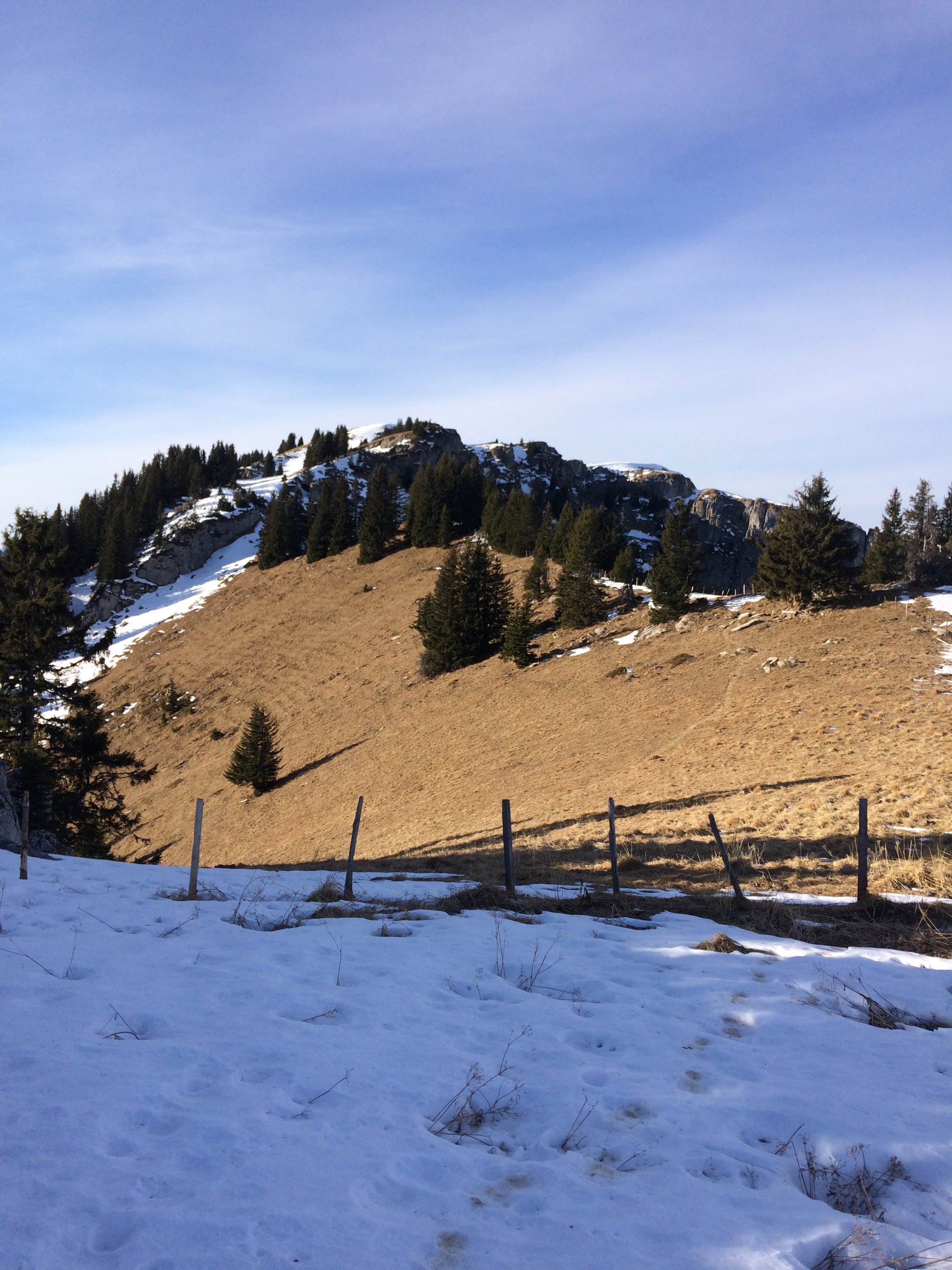 Pfaffe (1943m) (1943m): Aktuelle Verhältnisse vom 02.01.2017 auf der ...