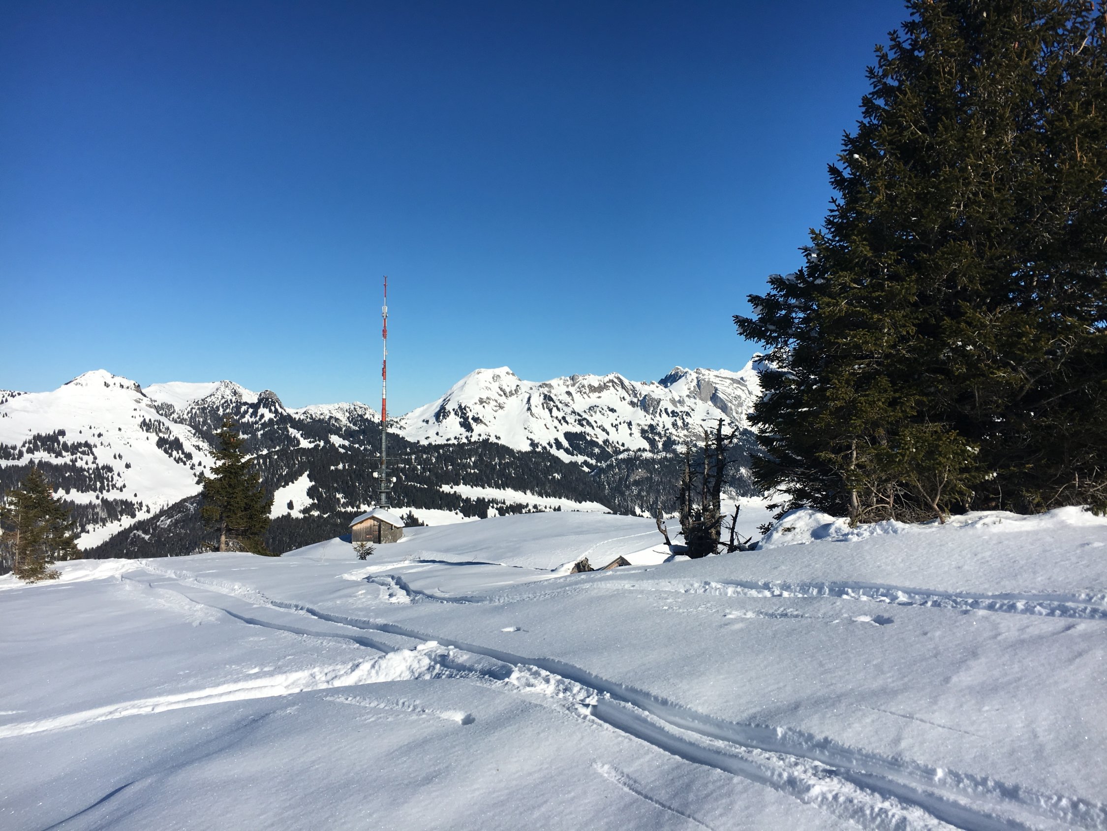 Selun (2205m): Aktuelle Verhältnisse vom 21.01.2017 auf der Route: Von ...