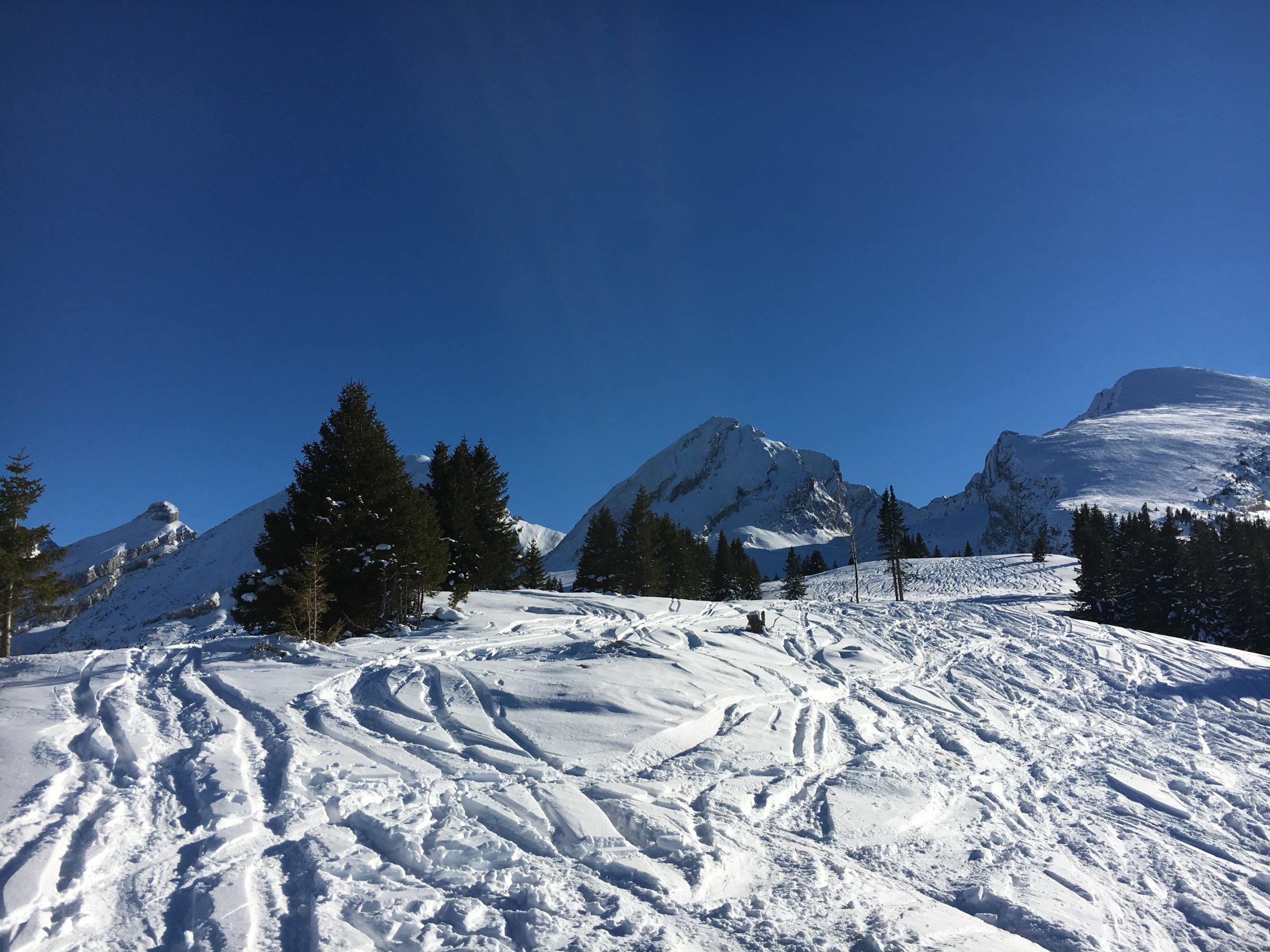 Selun (2205m): Aktuelle Verhältnisse vom 21.01.2017 auf der Route: Von ...