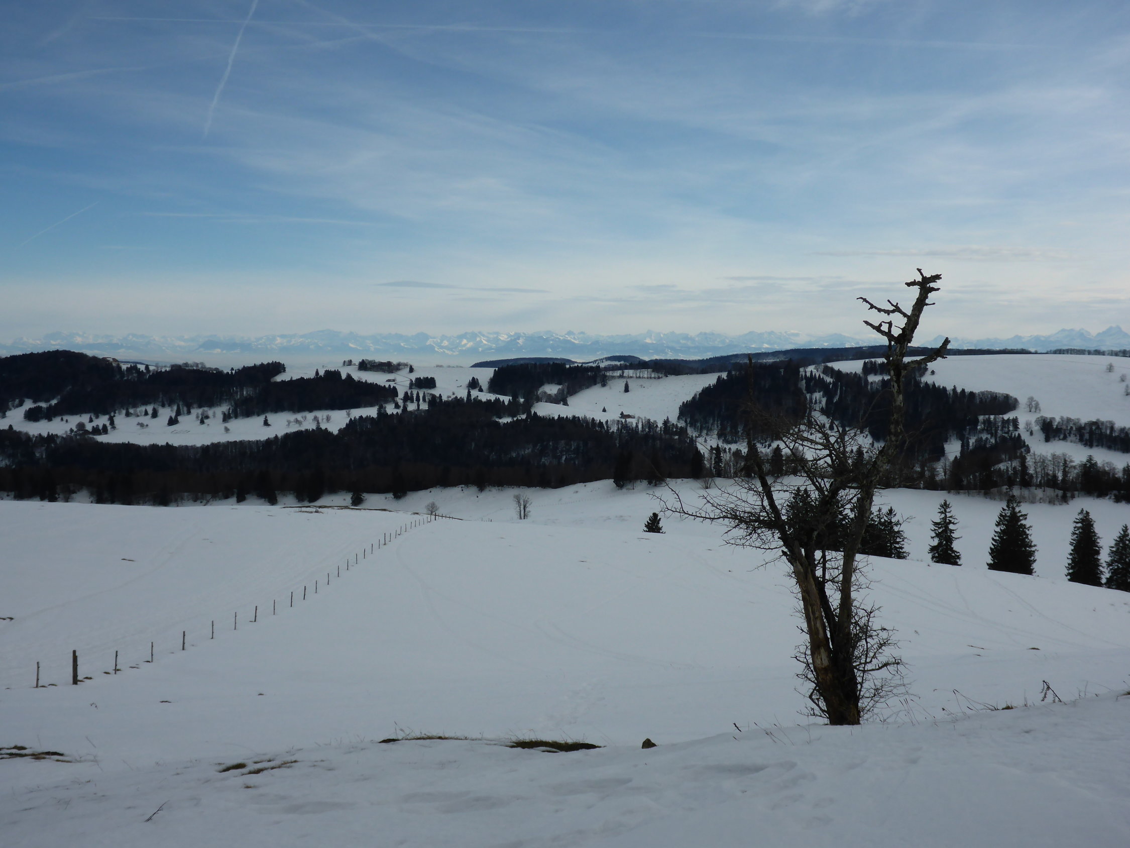 Hohe Winde (1204m) (1204m): Aktuelle Verhältnisse vom 28.01.2017 auf ...