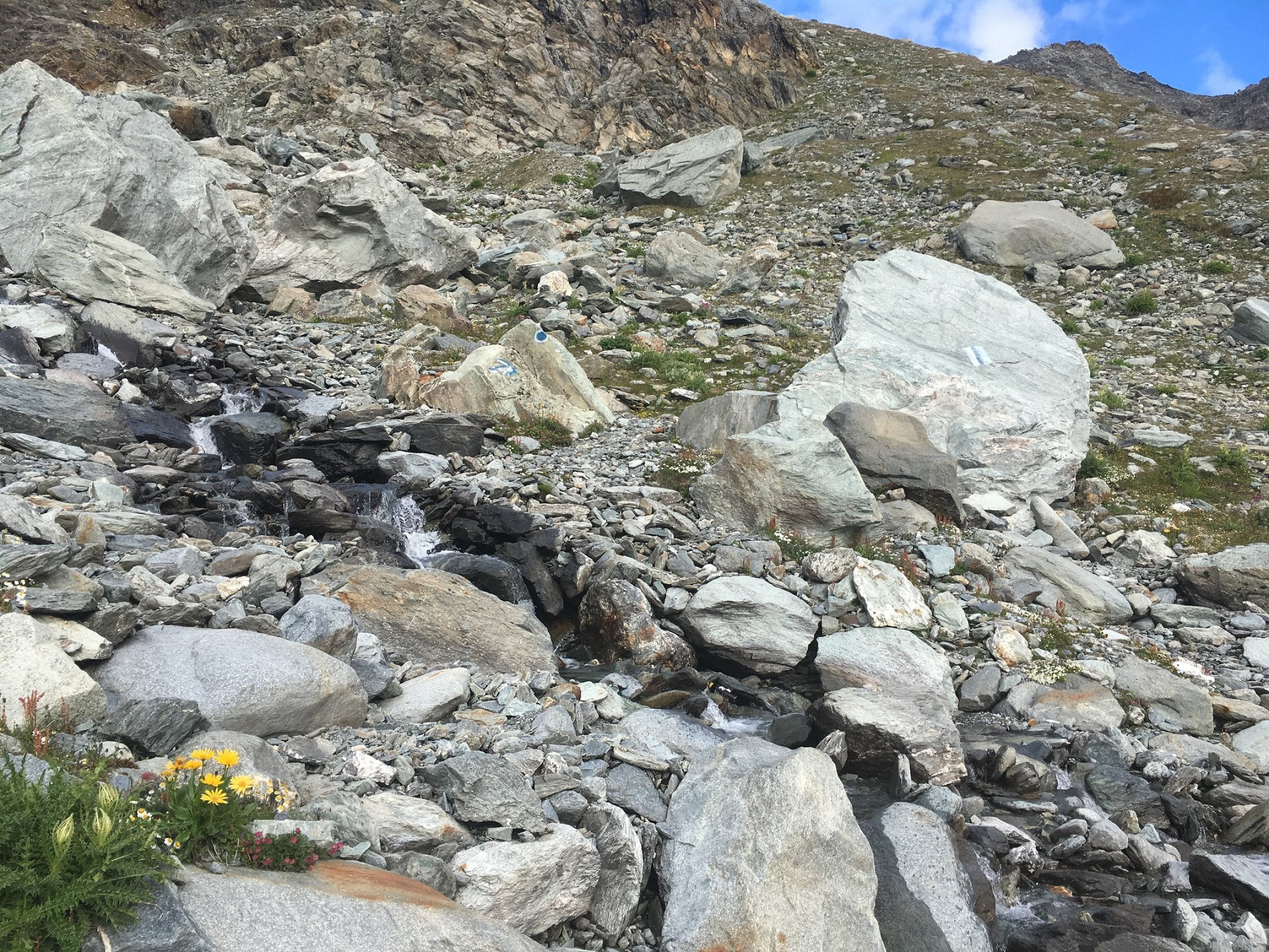 Piz dal Lej Alv (3197m) (3197m): Aktuelle Verhältnisse vom 25.08.2017 ...