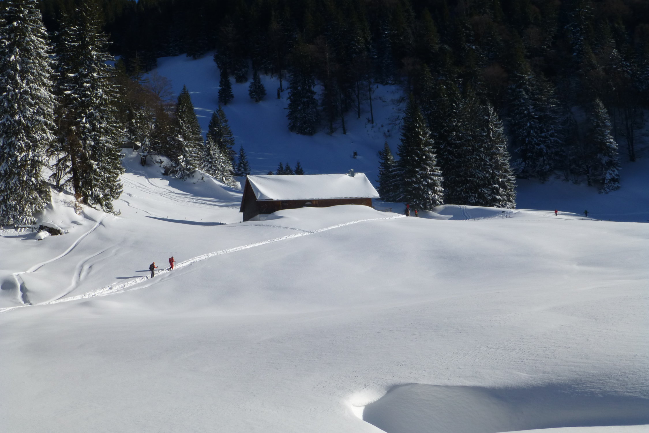 Gschwender Horn (1450m) (1450m): Aktuelle Verhältnisse vom 29.12.2017 ...