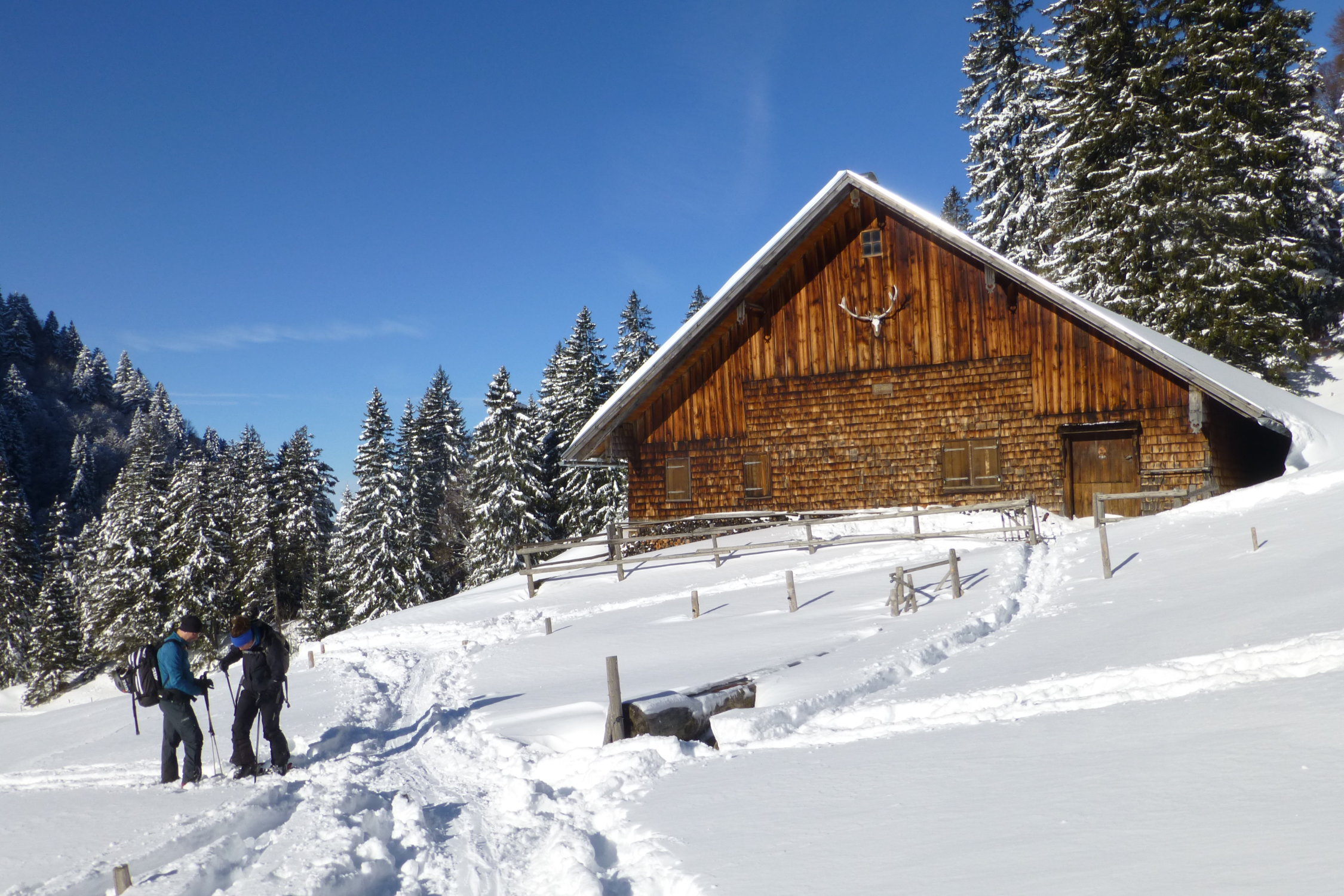 Gschwender Horn (1450m) (1450m): Aktuelle Verhältnisse vom 29.12.2017 ...
