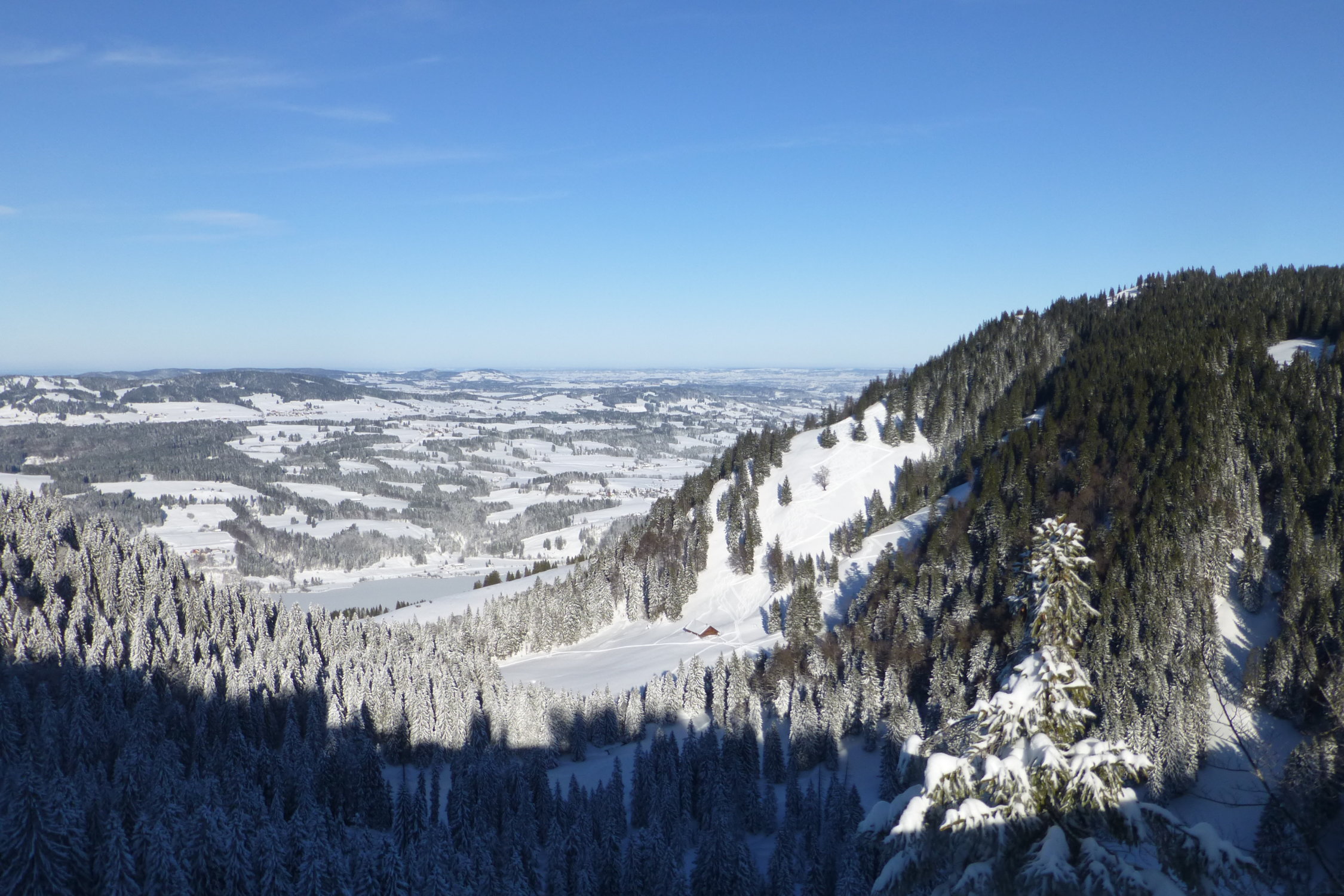 Gschwender Horn (1450m) (1450m): Aktuelle Verhältnisse vom 29.12.2017 ...