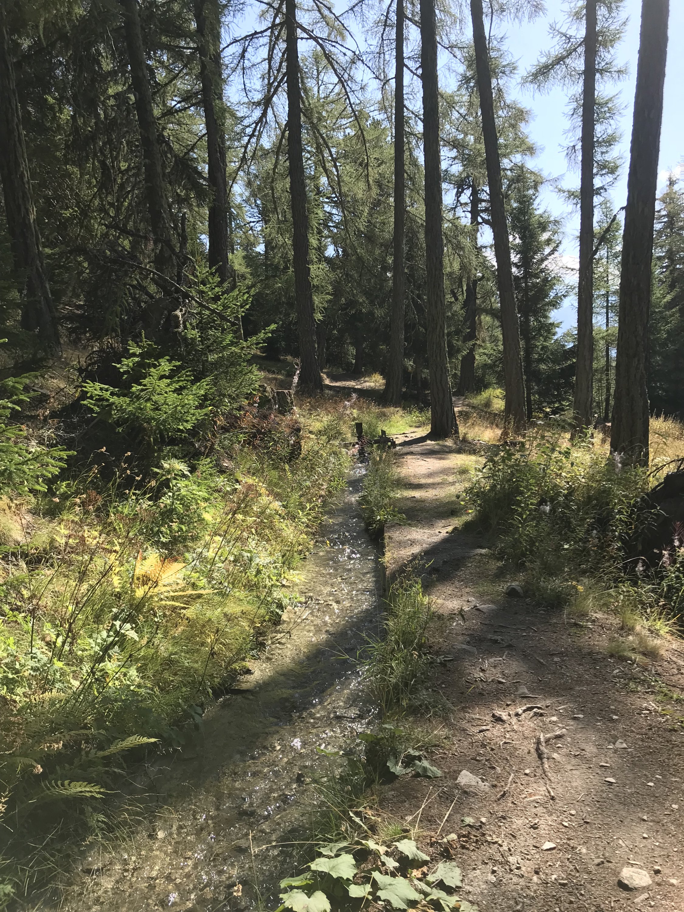 Simplon-Gebidum-Visperterminen-Visp (2417m) (2417m): Aktuelle ...
