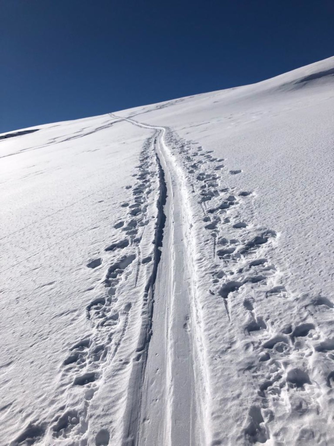 Grener Berg (2442m) (2442m): Aktuelle Verhältnisse vom 16.02.2019 auf ...