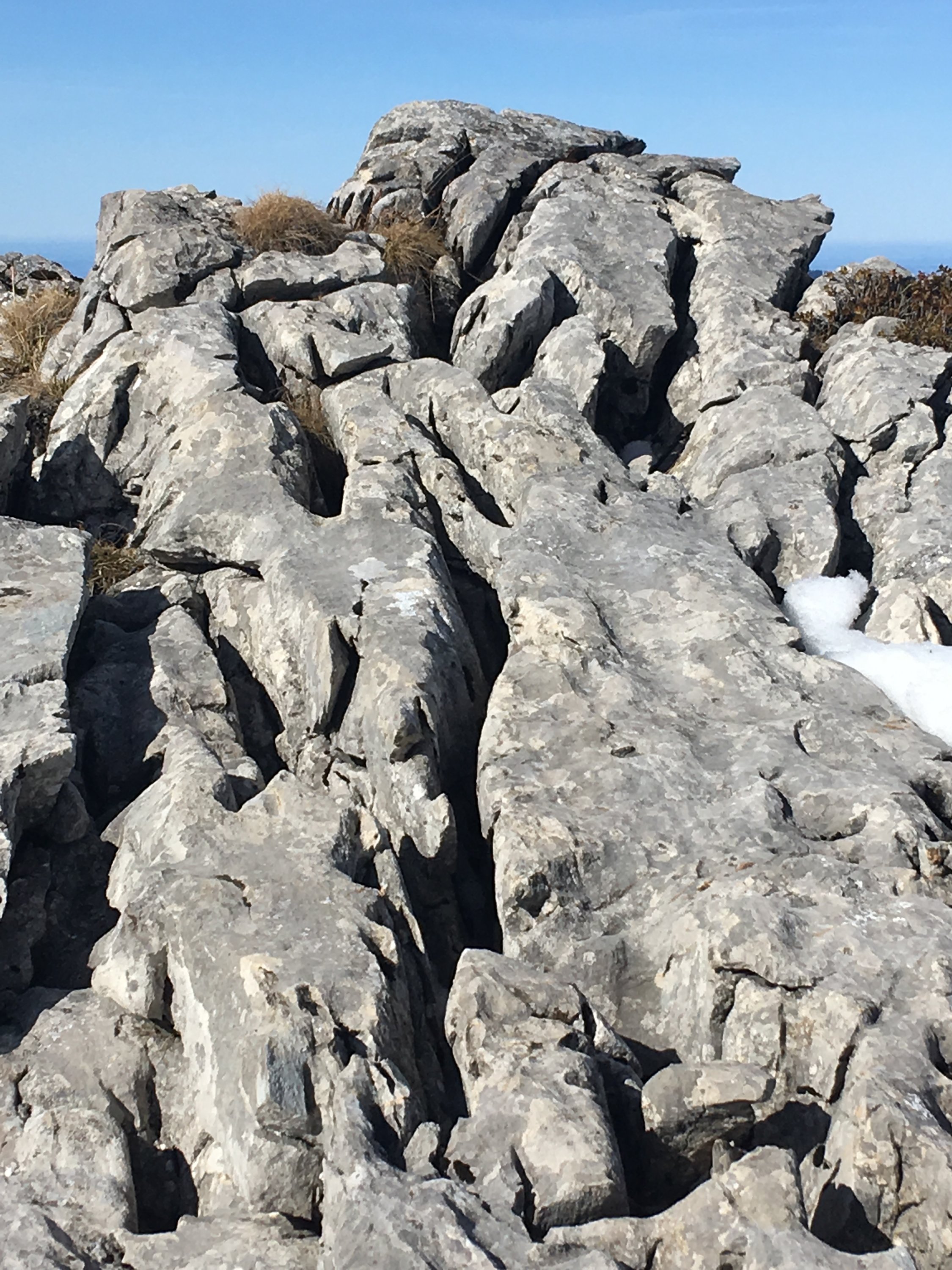 Toreck (2017m) (2017m): Aktuelle Verhältnisse vom 26.02.2019 auf der ...