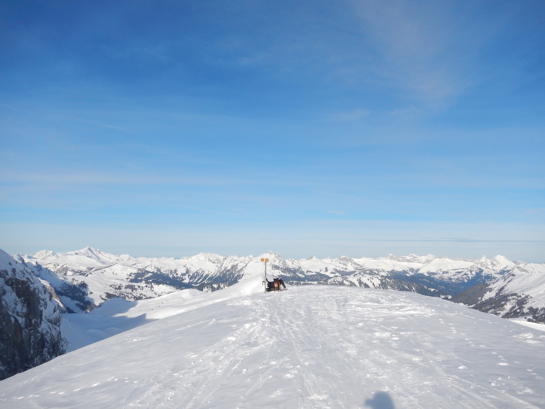 Iffighore (2378m) (2378m): Aktuelle Verhältnisse vom 03.03.2019 auf der ...