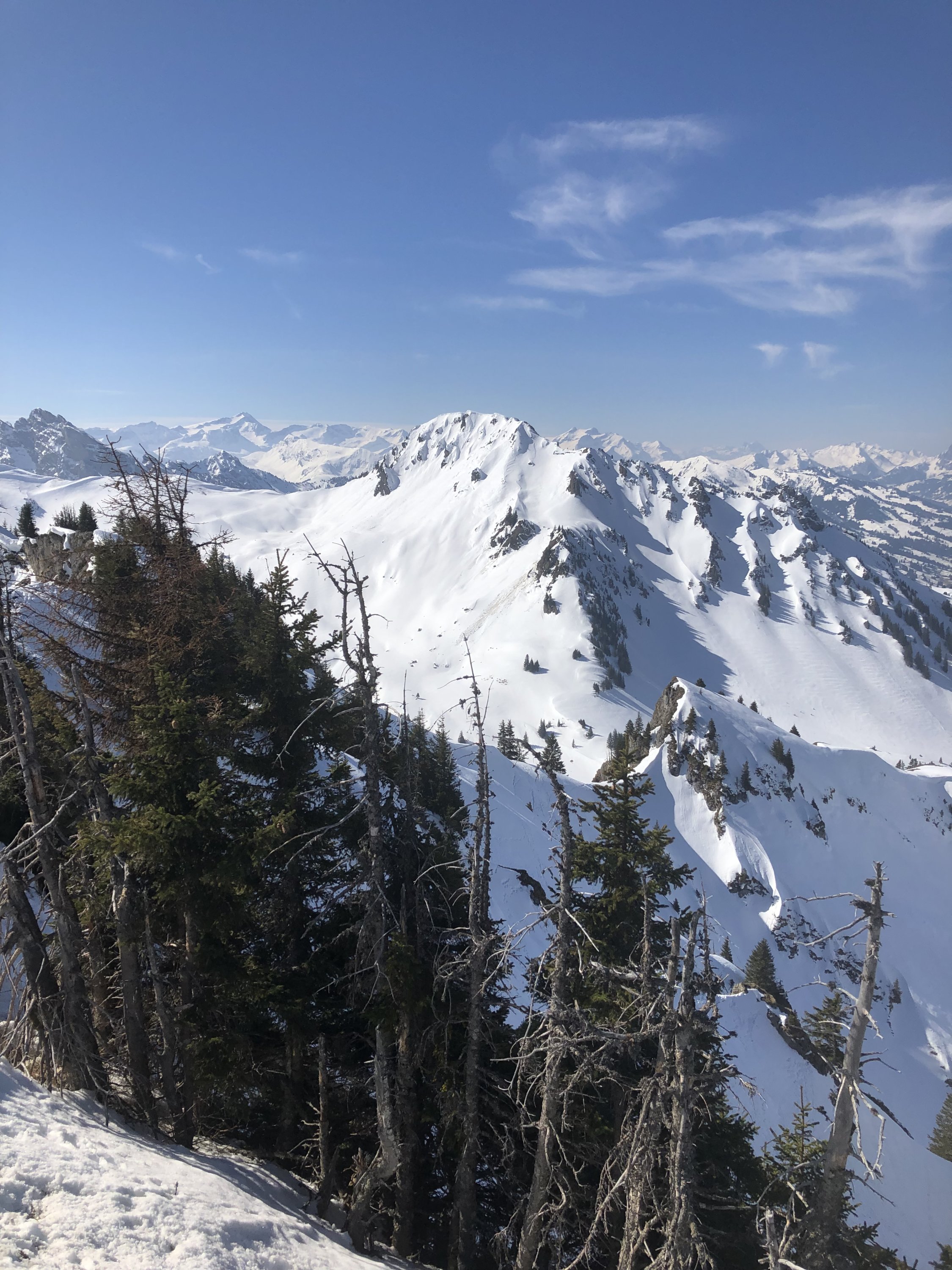 Geisshörnli (2031m) (2031m): Aktuelle Verhältnisse vom 31.03.2019 auf ...