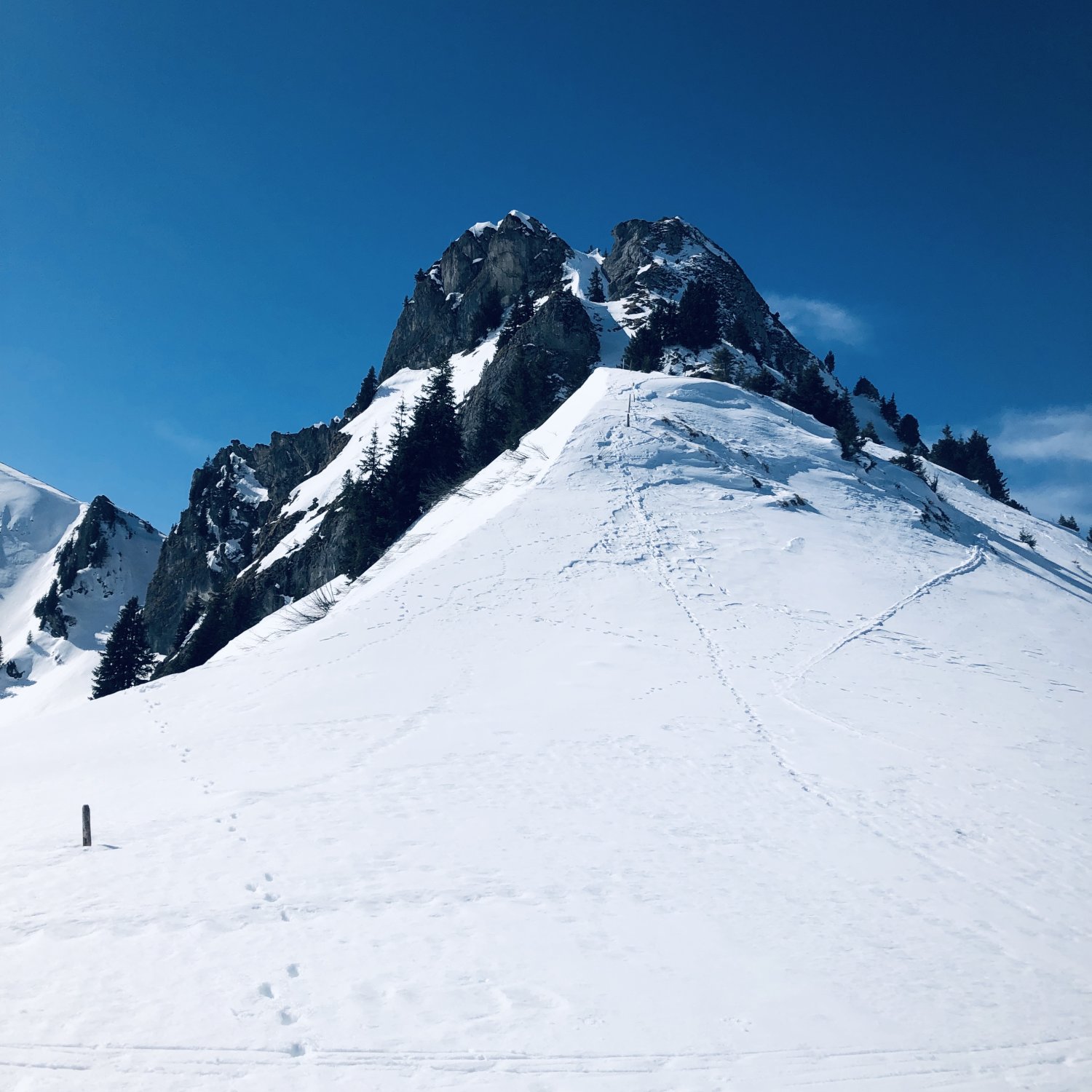 Geisshörnli (2031m) (2031m): Aktuelle Verhältnisse vom 31.03.2019 auf ...