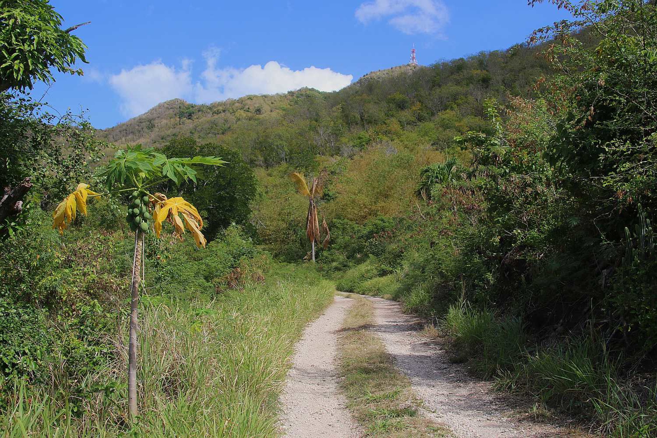 Mount Obama (402m): Aktuelle Verhältnisse vom 01.04.2019 auf der Route ...