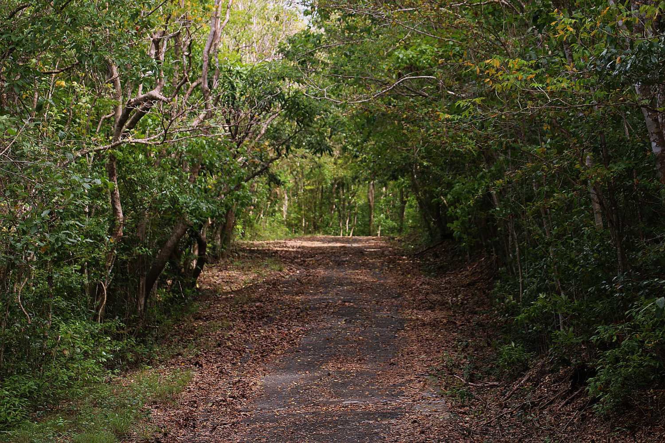 Mount Obama (402m): Aktuelle Verhältnisse vom 01.04.2019 auf der Route ...