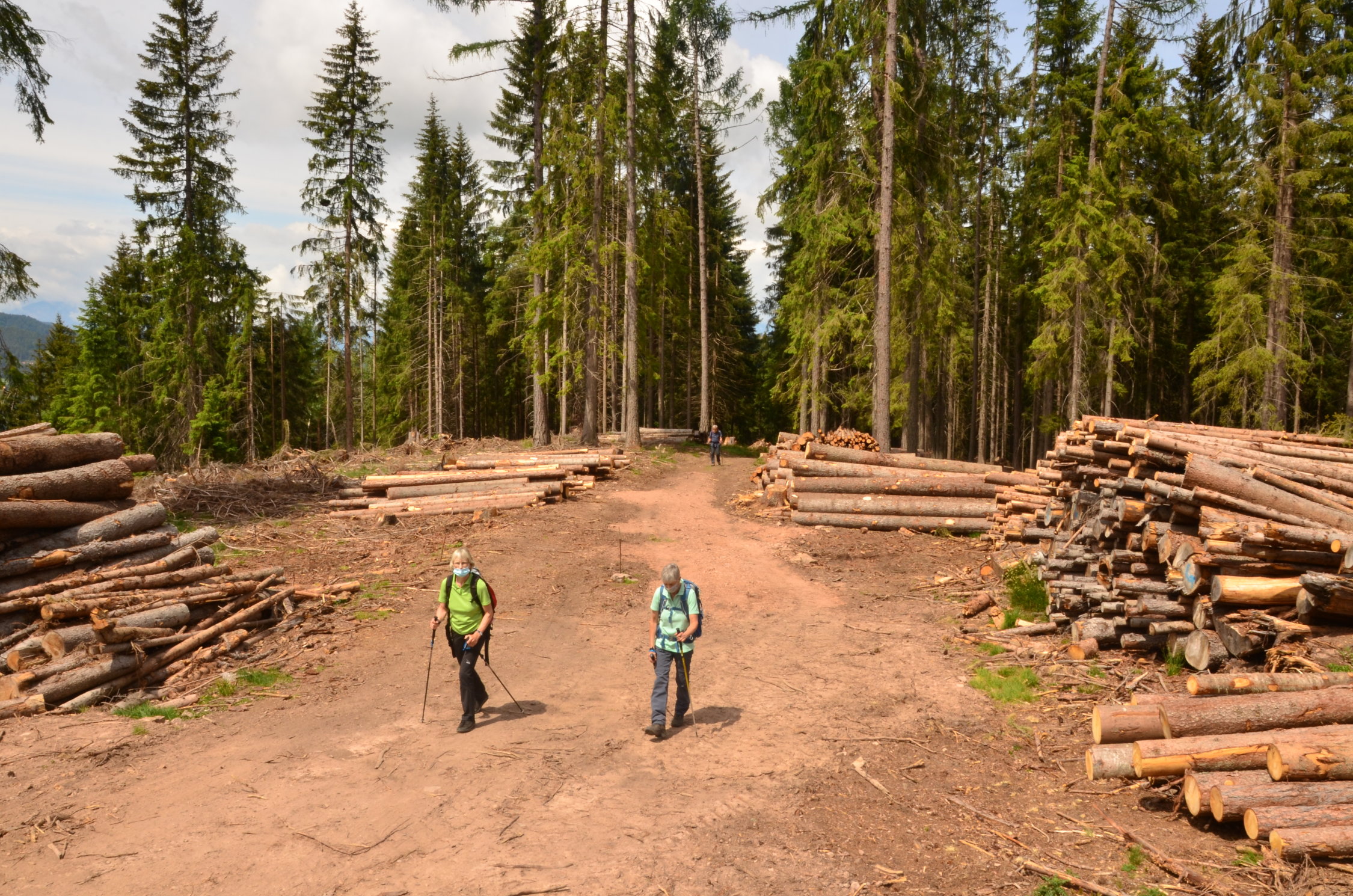 Afn`Sam (1605m) (1605m): Aktuelle Verhältnisse vom 31.05.2020 auf der ...