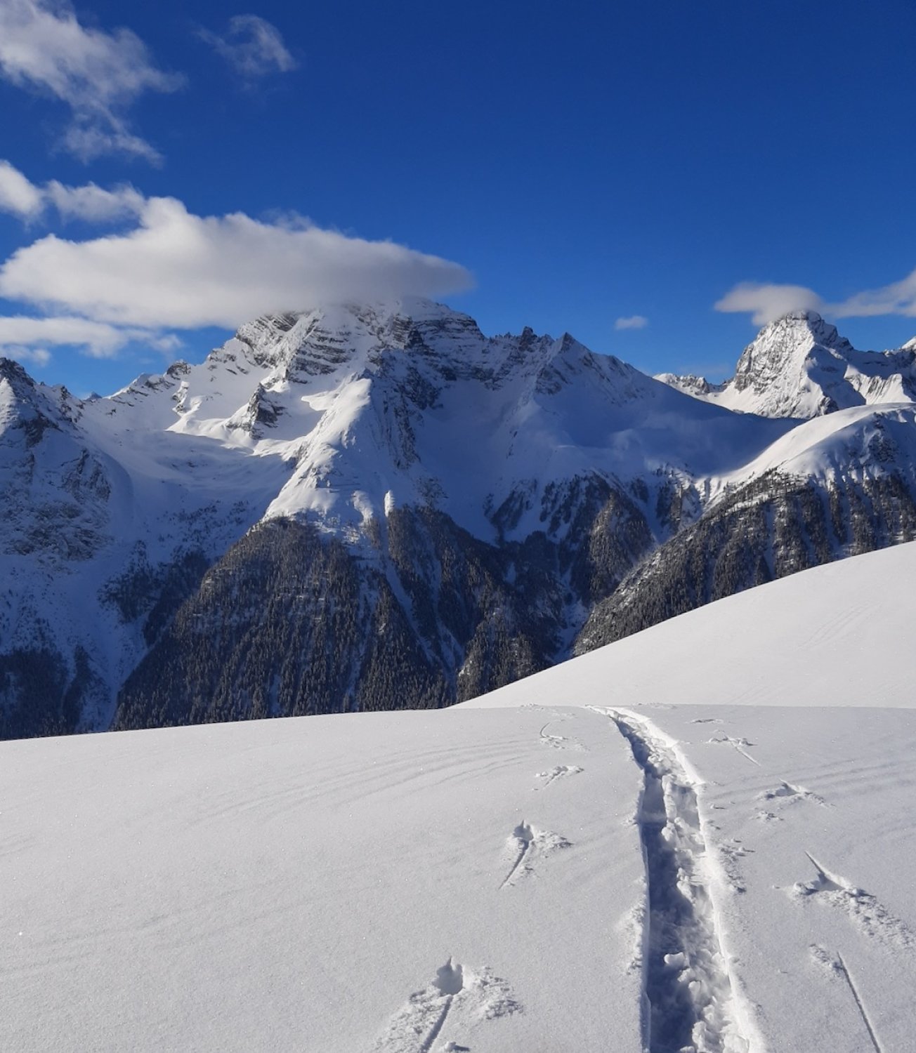Cuolm da Latsch (2296m) (2296m): Aktuelle Verhältnisse vom 09.02.2021 ...