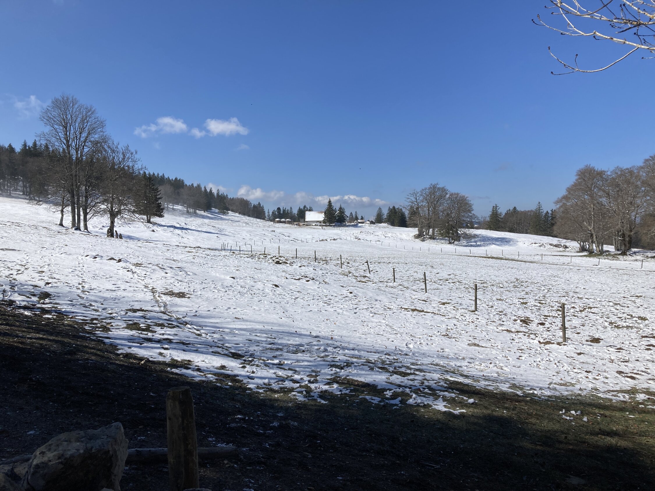 Le Soliat (1465m) (1465m): Aktuelle Verhältnisse vom 14.04.2021 auf der ...