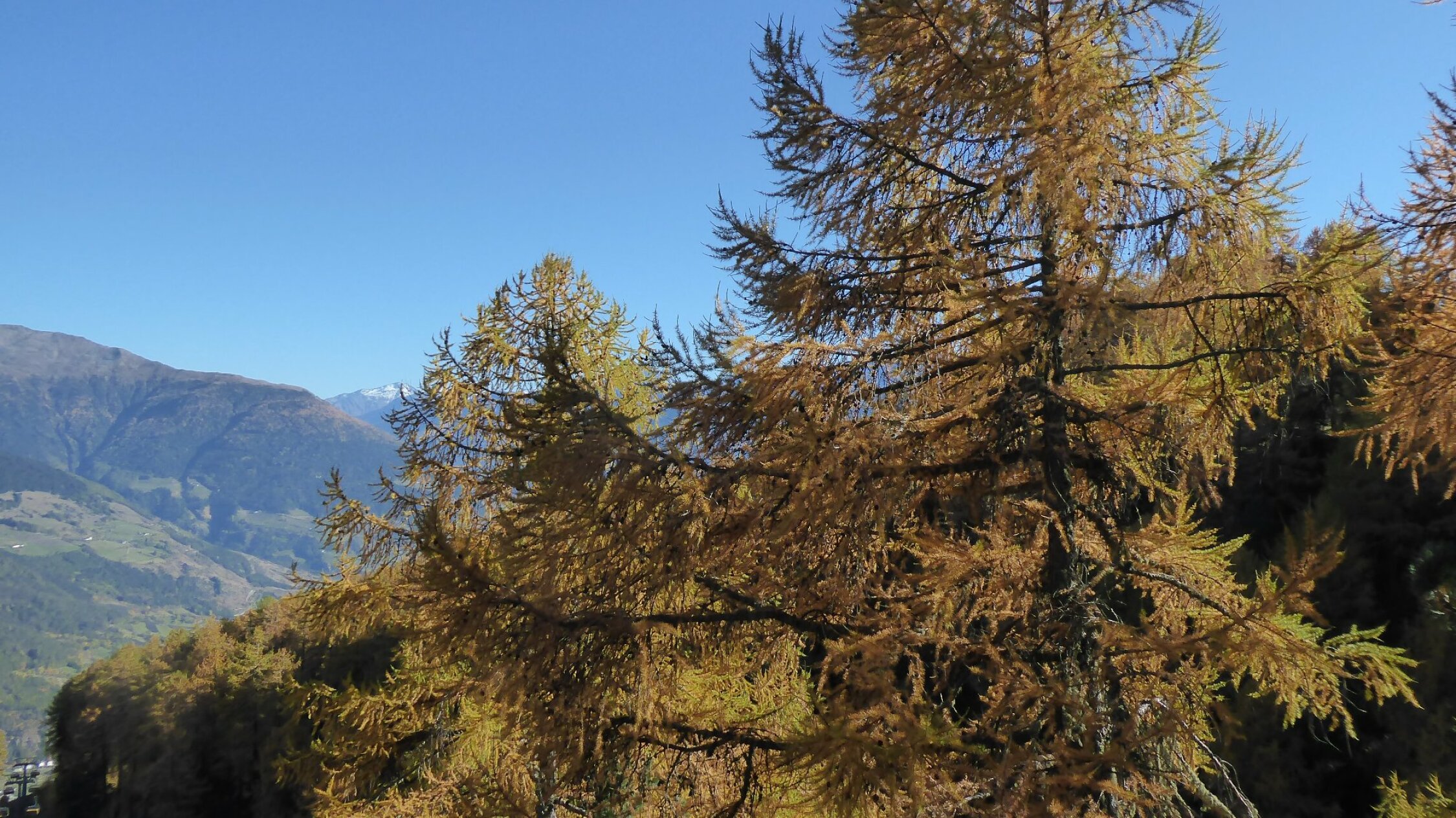 Watles / Monte Vatles (2557m) (2557m): Aktuelle Verhältnisse vom 27.10. ...