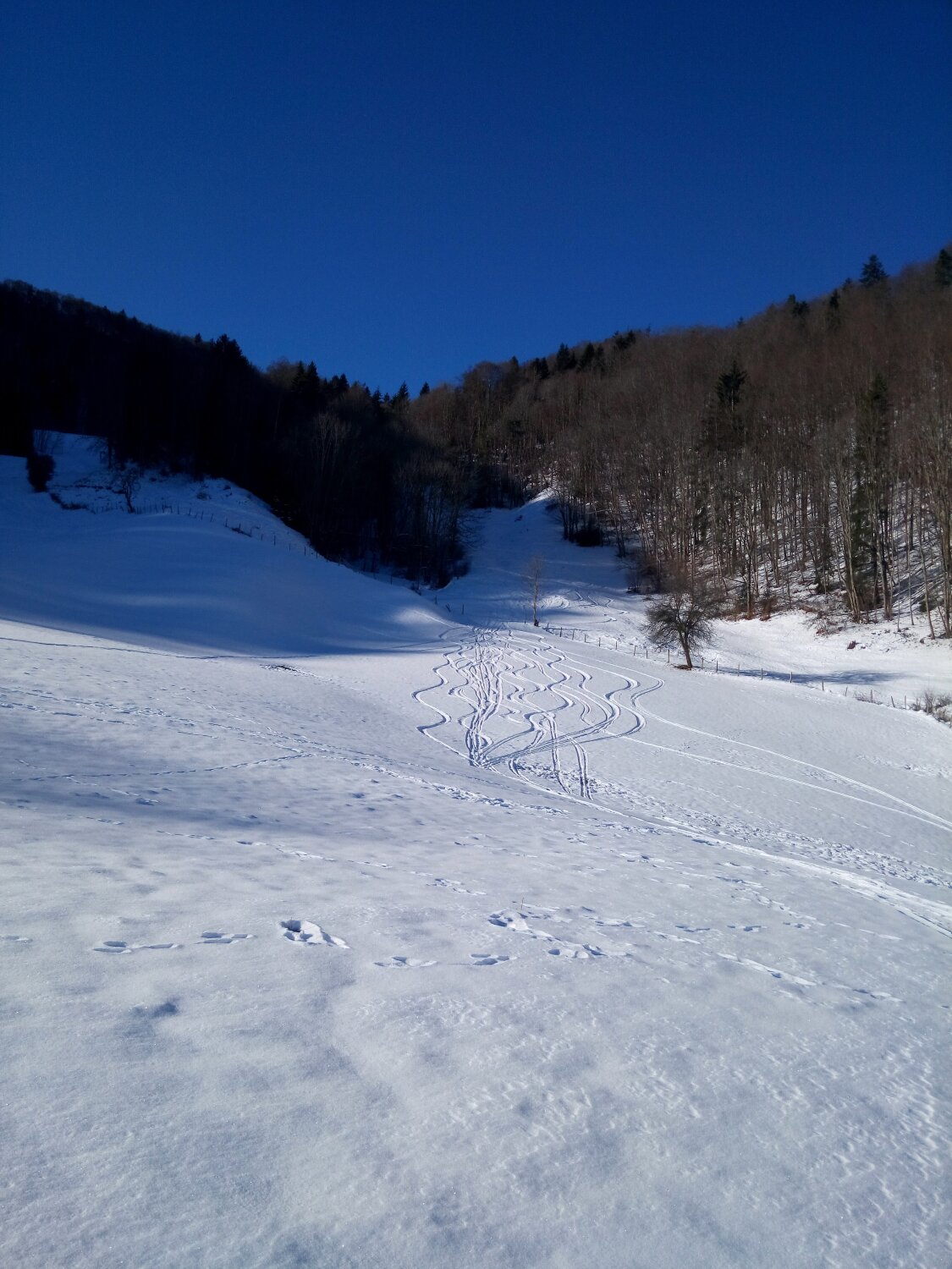 Hohe Winde (1204m) (1204m): Aktuelle Verhältnisse vom 14.01.2022 auf ...
