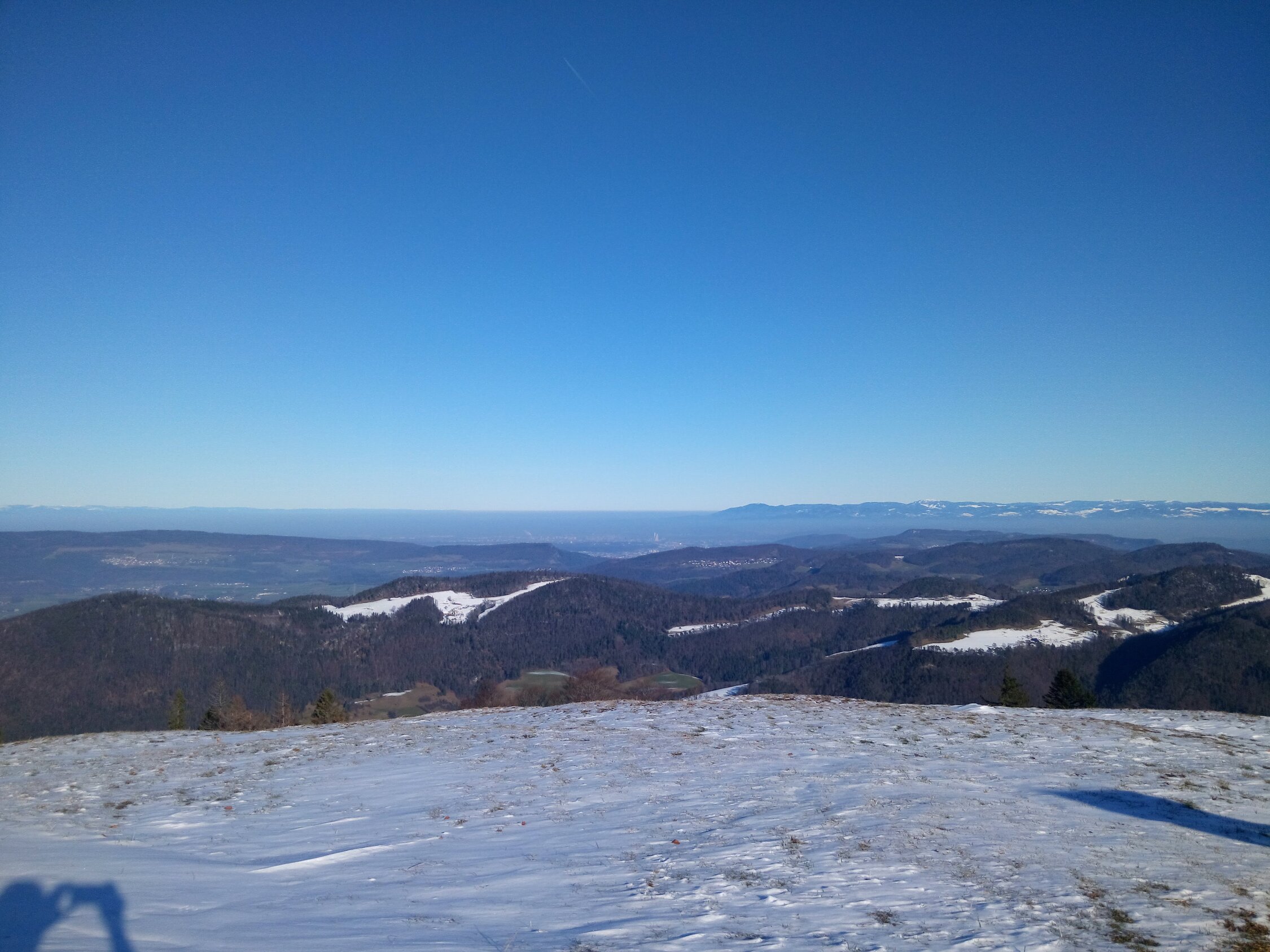 Hohe Winde (1204m) (1204m): Aktuelle Verhältnisse vom 14.01.2022 auf ...