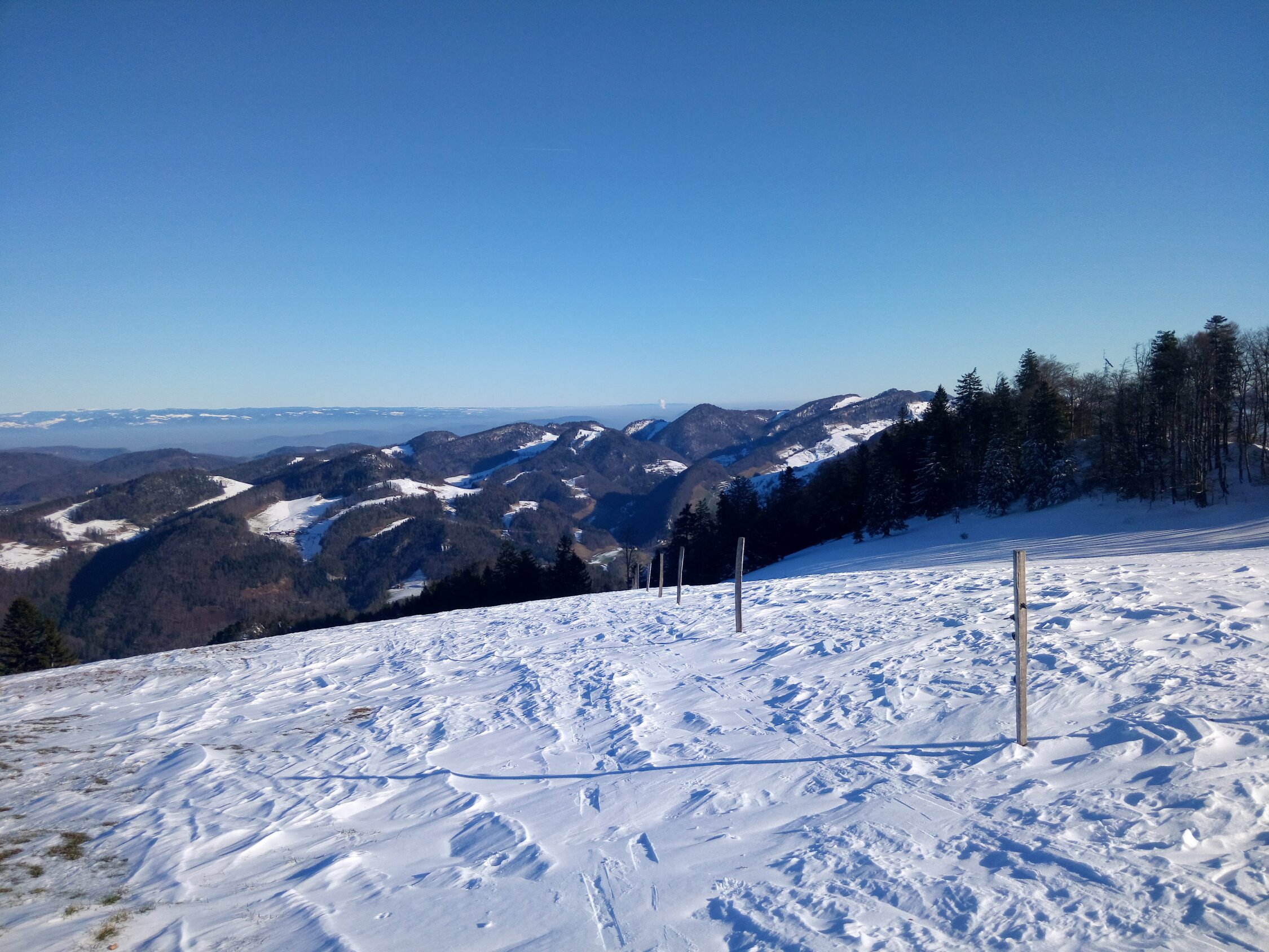 Hohe Winde (1204m) (1204m): Aktuelle Verhältnisse vom 14.01.2022 auf ...