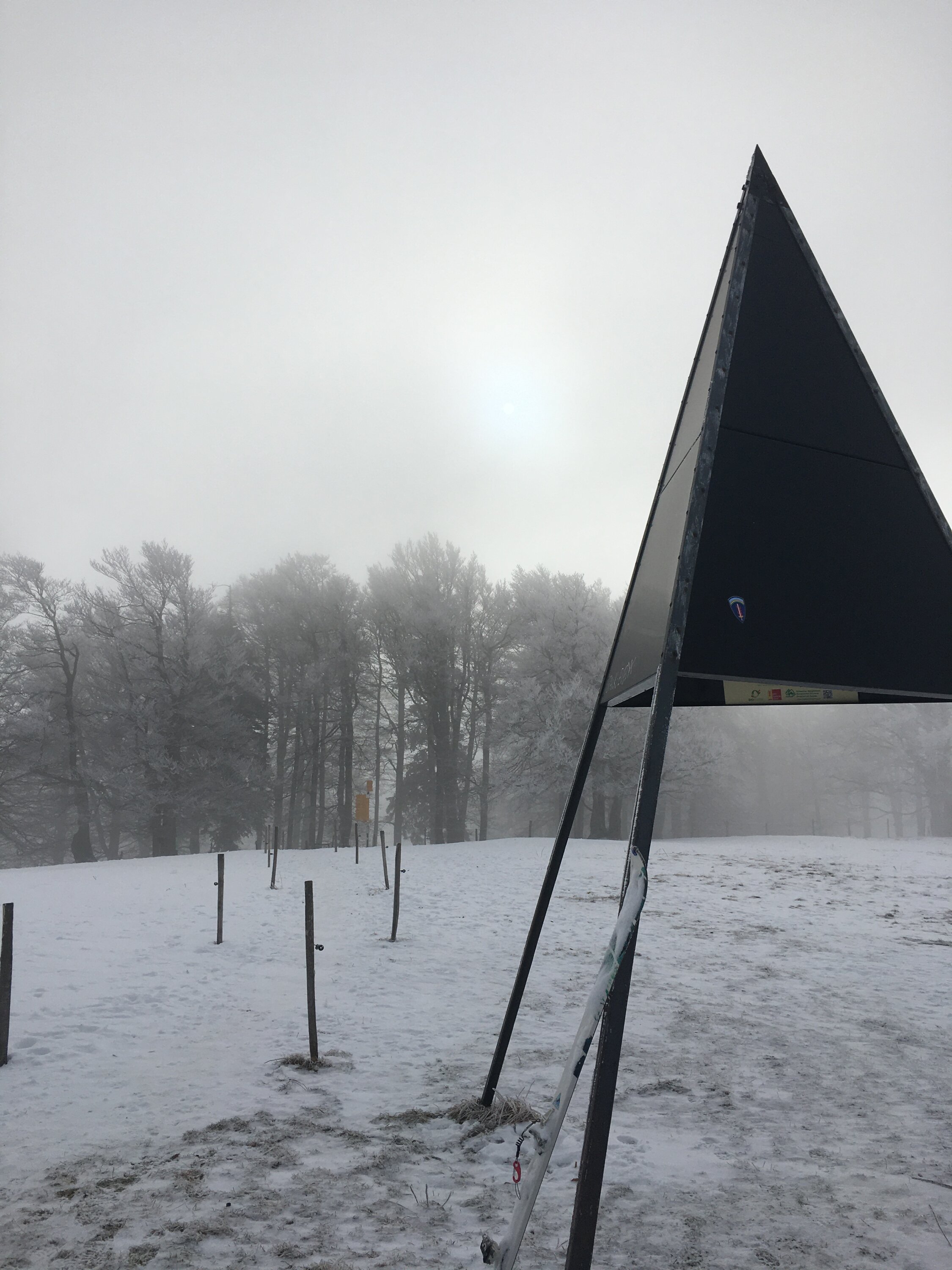 Hohe Winde (1204m) (1204m): Aktuelle Verhältnisse vom 18.01.2022 auf ...