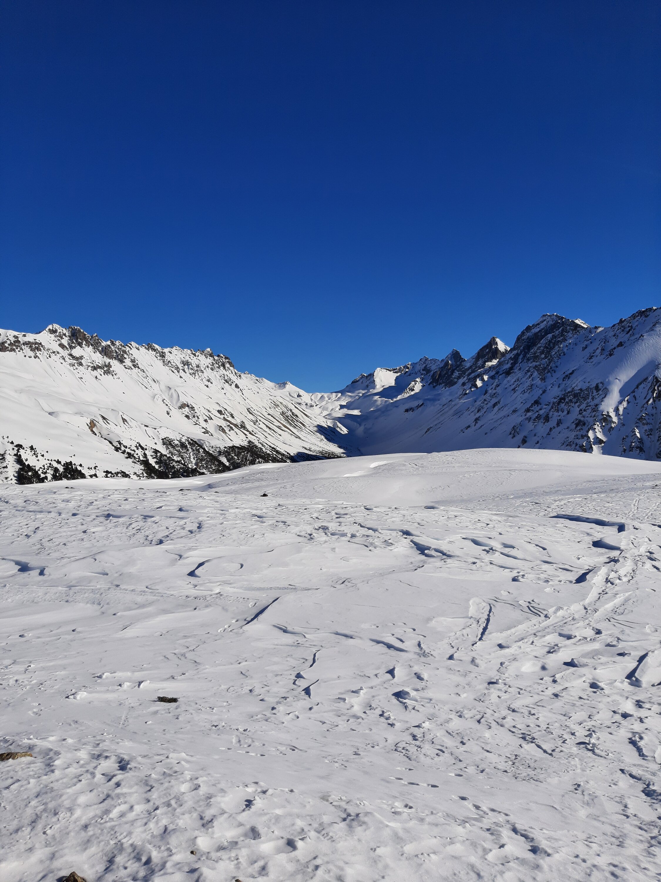 Cuolm da Latsch (2296m) (2296m): Aktuelle Verhältnisse vom 09.02.2022 ...