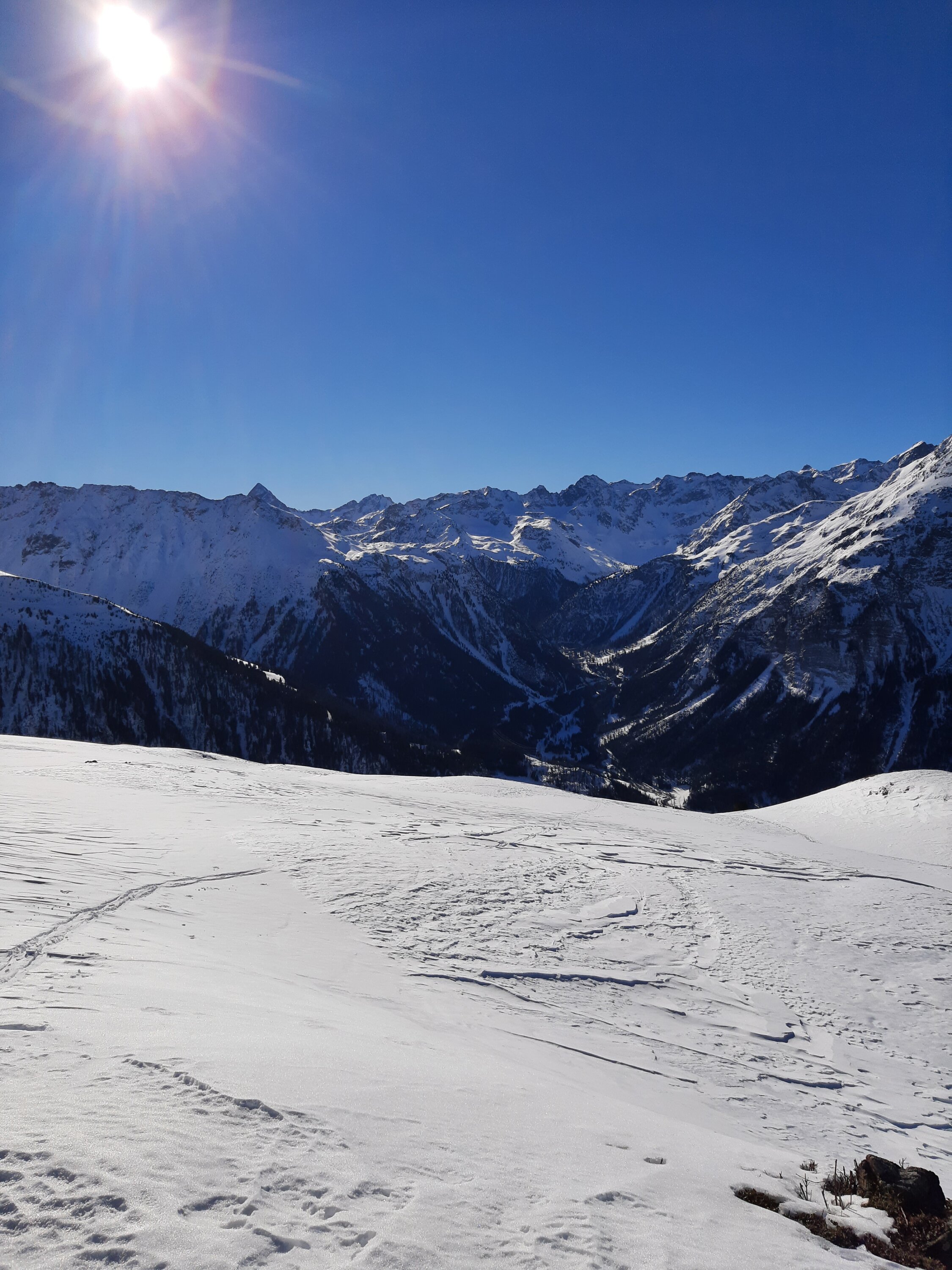 Cuolm da Latsch (2296m) (2296m): Aktuelle Verhältnisse vom 09.02.2022 ...
