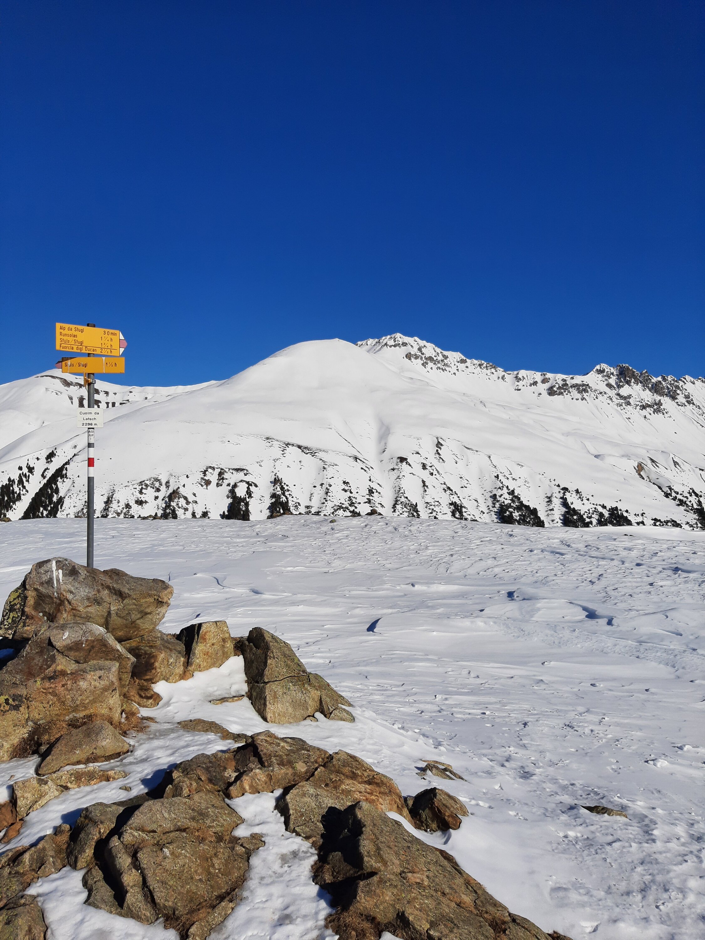 Cuolm da Latsch (2296m) (2296m): Aktuelle Verhältnisse vom 09.02.2022 ...