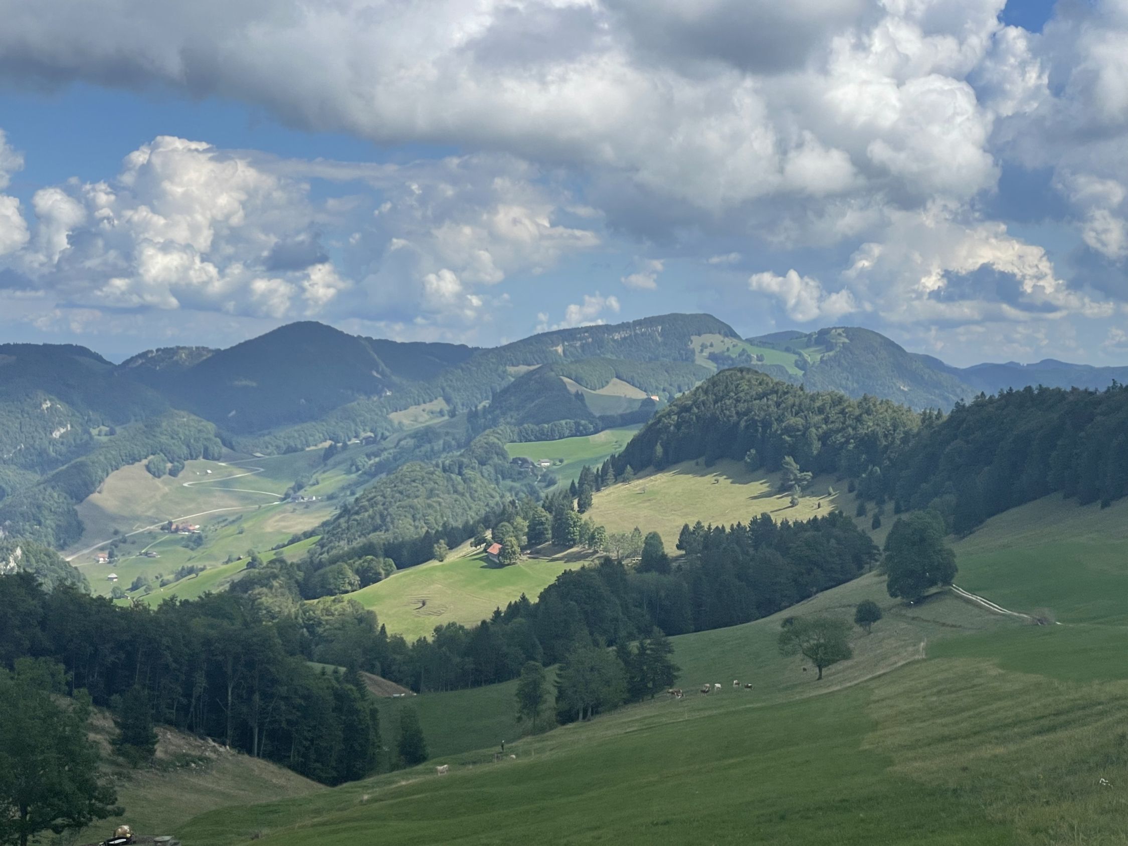 Hohe Winde (1204m): Aktuelle Verhältnisse vom 04.09.2022 für die ...