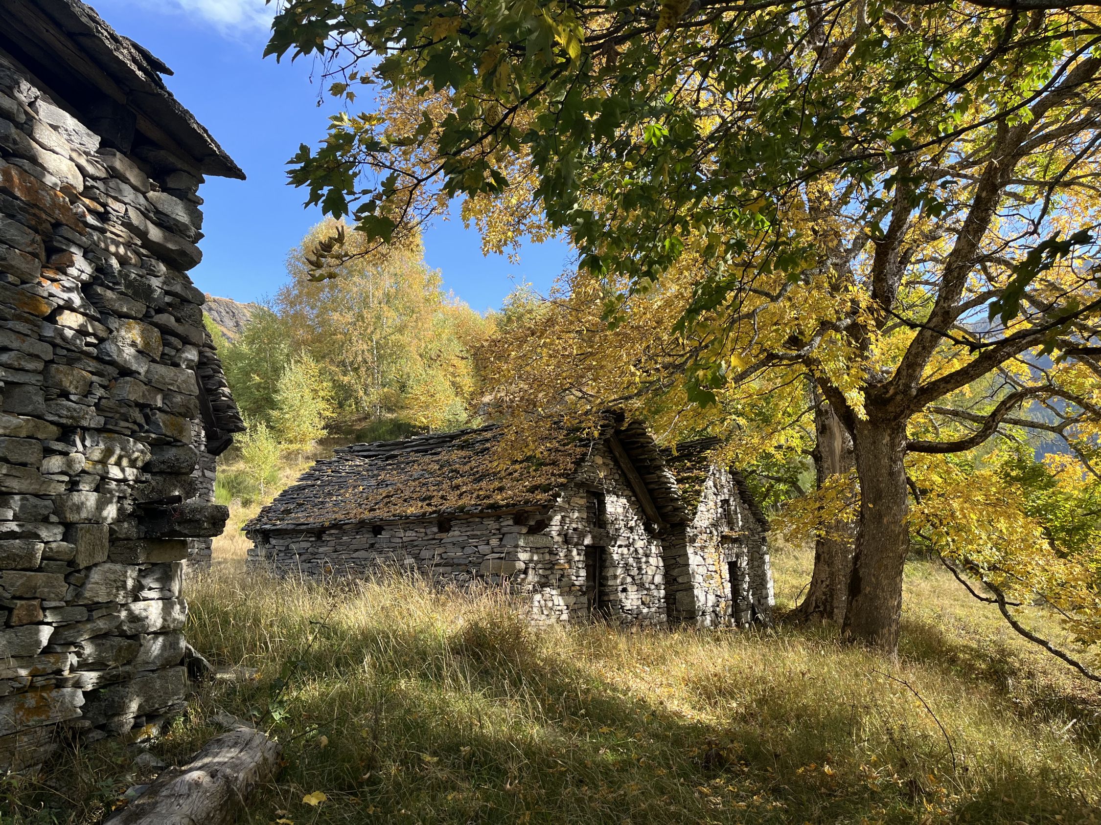 Forcola di Larecchio (2148m): Aktuelle Verhältnisse vom 08.10.2022 auf ...