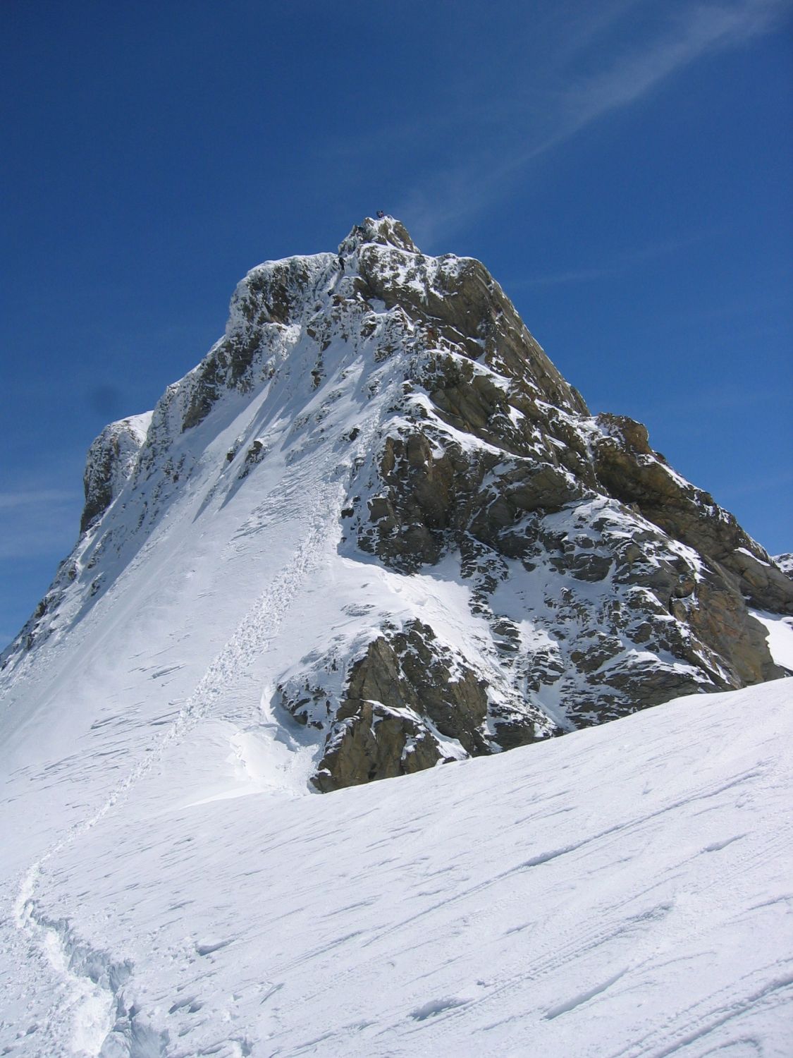 Gross Schärhorn - Clariden: Aktuelle Verhältnisse vom 10.05.2007 für ...