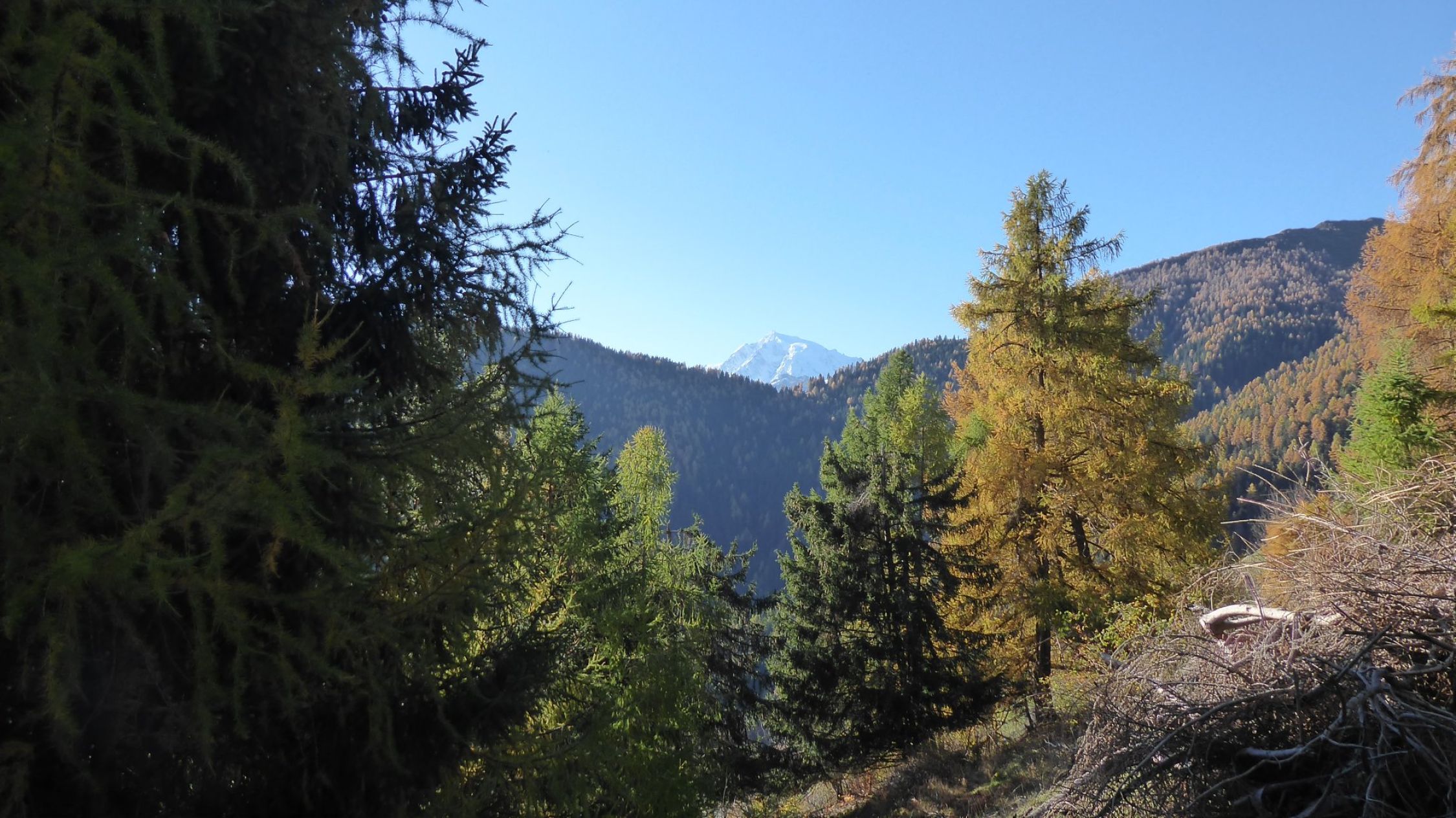Plaschweller (2534m): Aktuelle Verhältnisse vom 27.10.2022 auf der ...