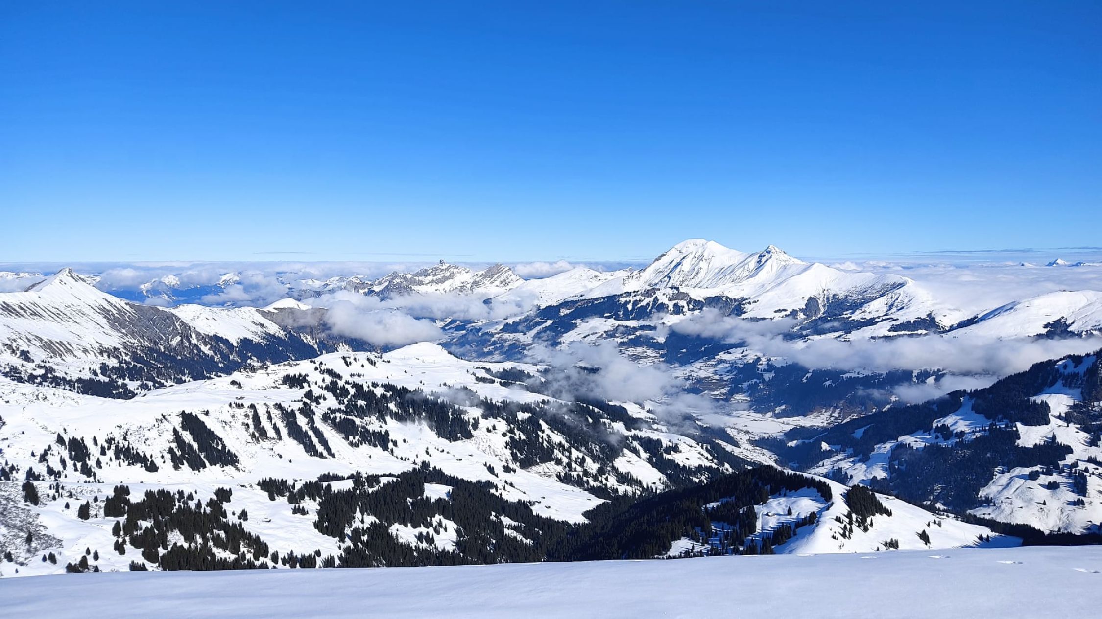 Iffighore (2378m): Aktuelle Verhältnisse vom 04.02.2023 auf der Route ...