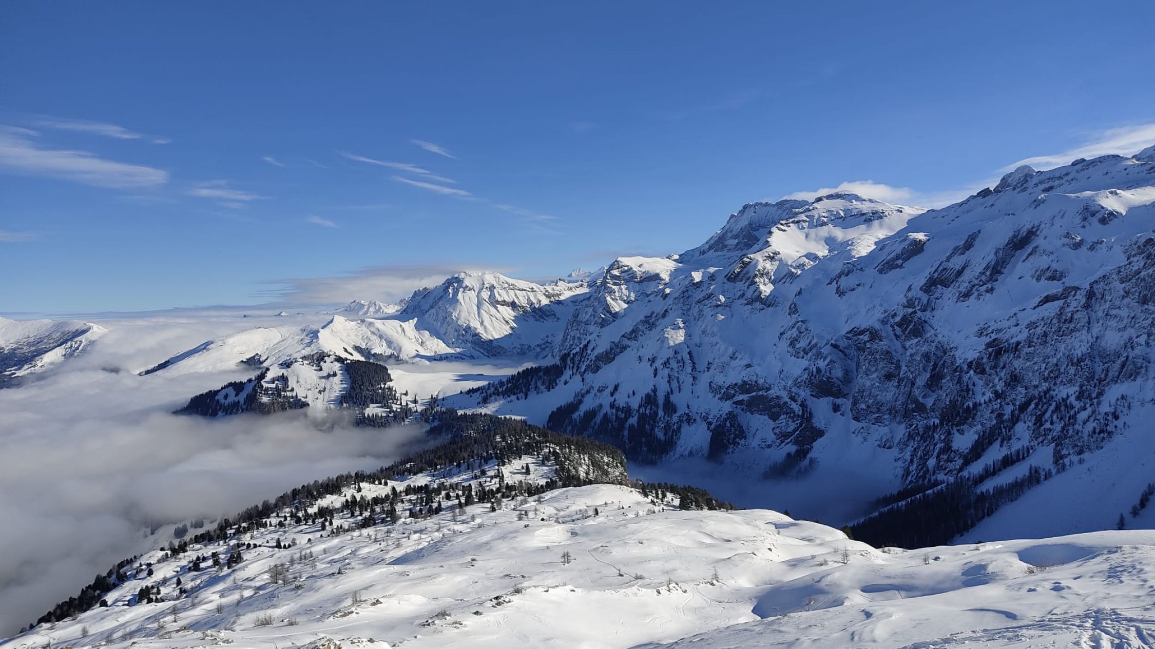 Iffighore (2378m): Aktuelle Verhältnisse vom 04.02.2023 auf der Route ...